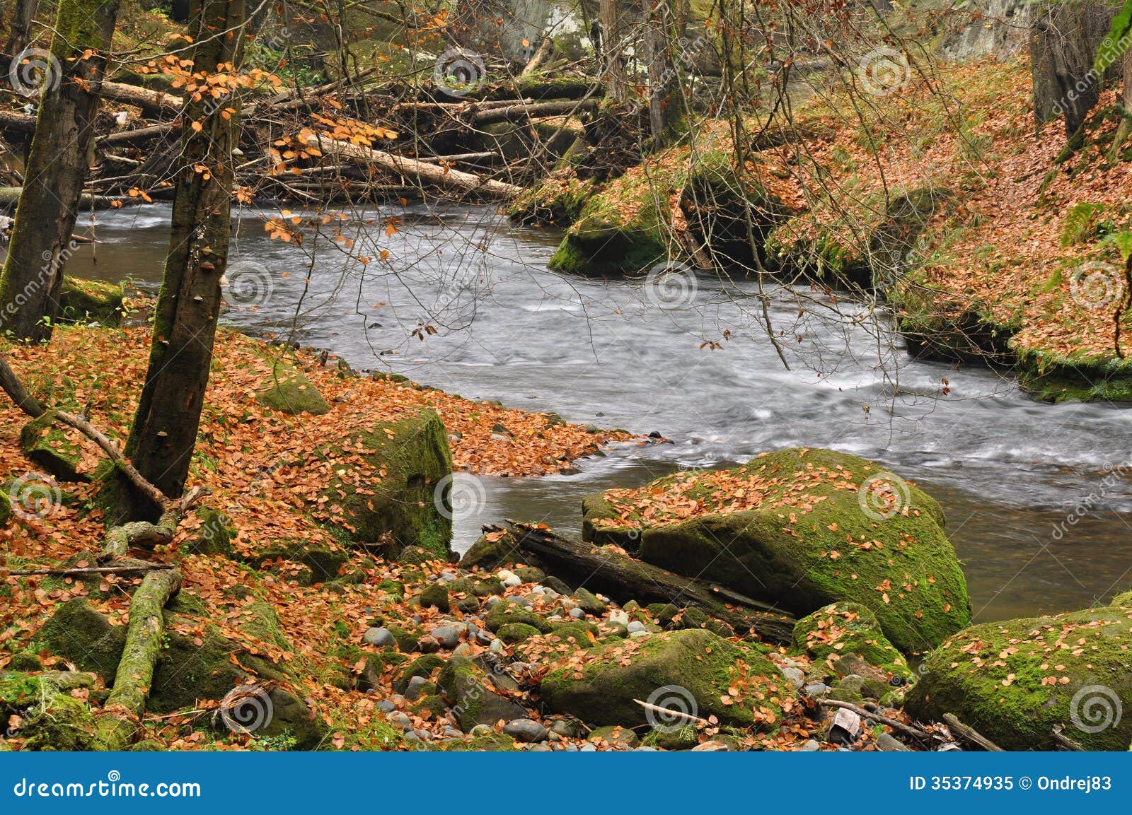 River stock image. Image of peace, fall, nature, outdoor - 35374935