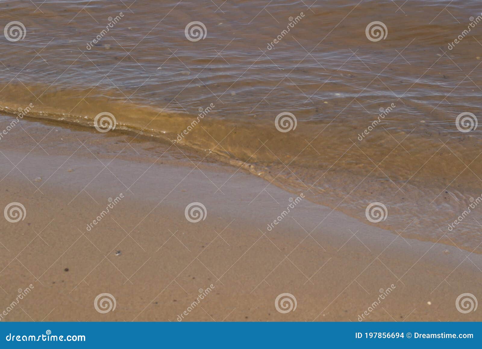 River landscape stock photo. Image of liquid, shore - 197856694