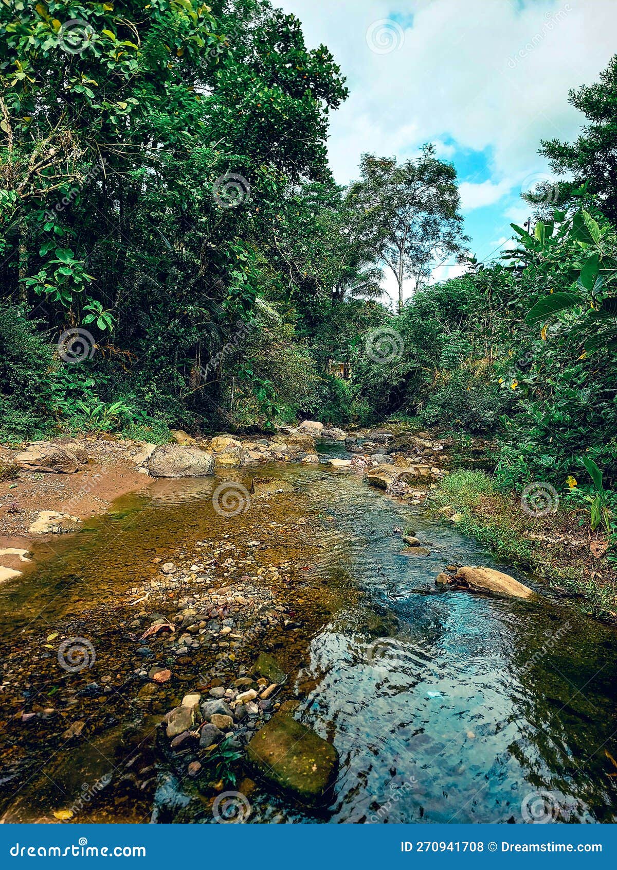 The River at Small Village with Pure Water Stock Photo - Image of pond ...