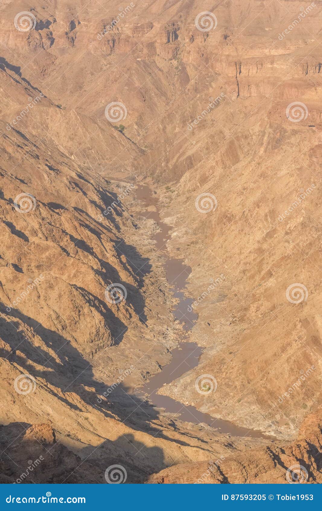 River snake stock image. Image of national, indicating - 87593205
