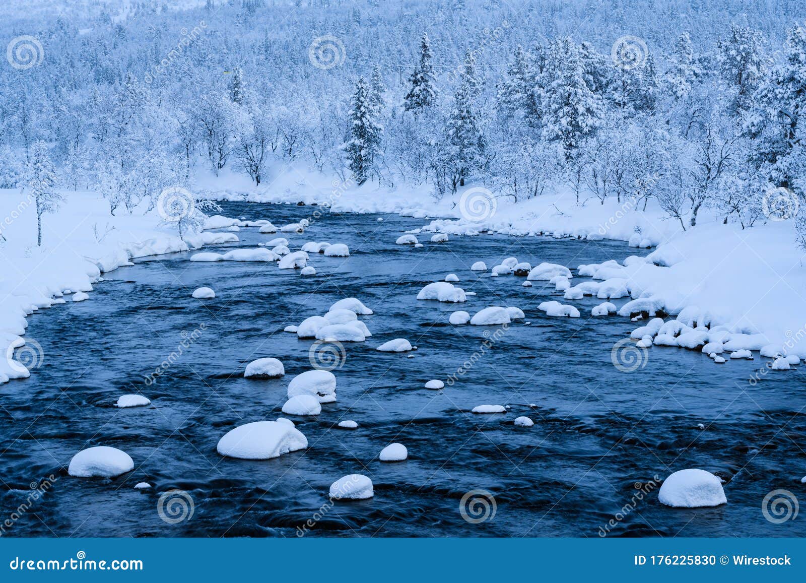 River with Snow in it and a Forest Near Covered with Snow in Winter in ...