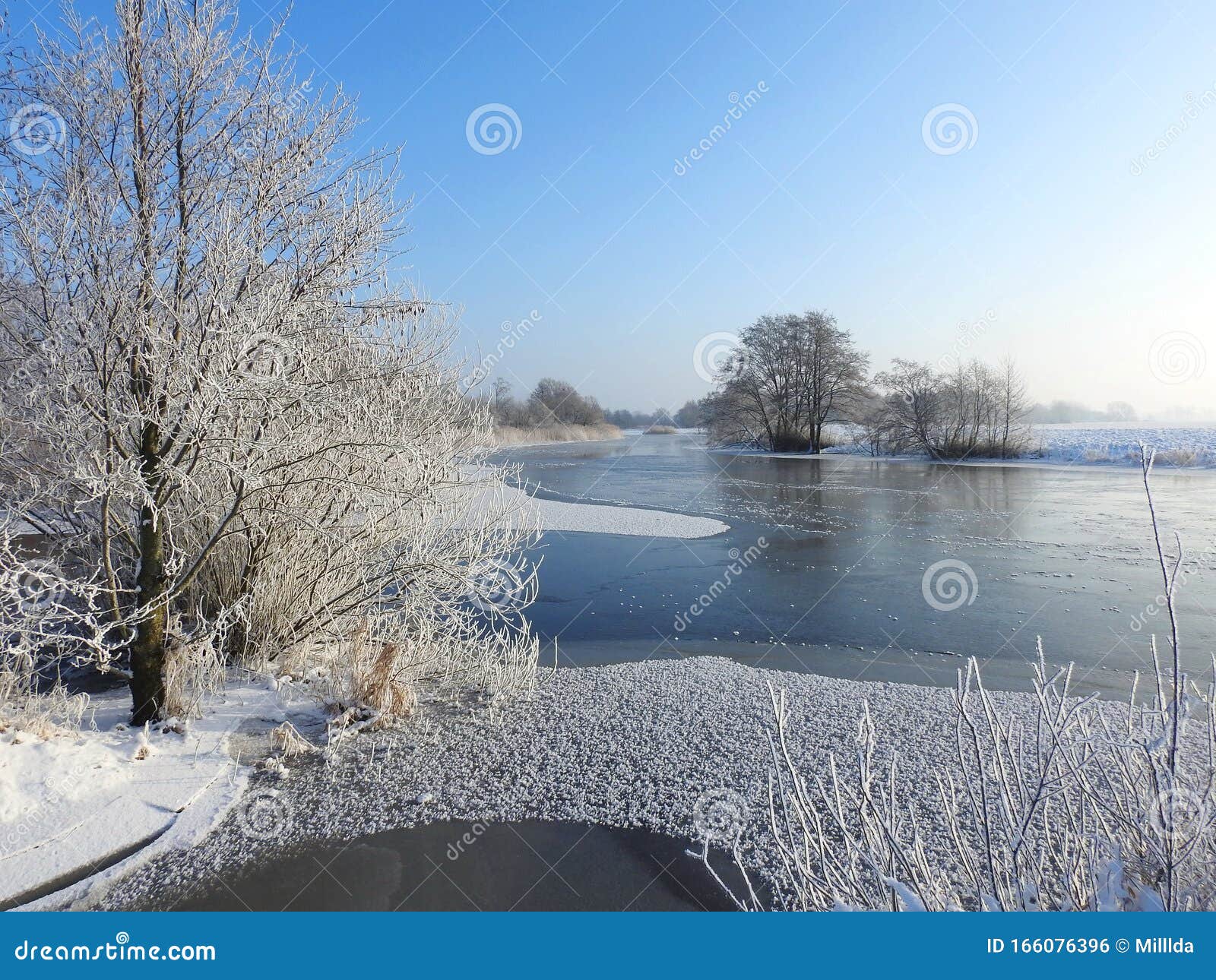 River and Snowy Trees in Winter, Lithuania Stock Photo - Image of ...