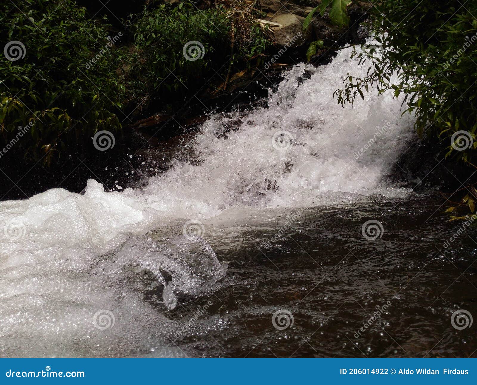 River Splash stock photo. Image of boating, stream, shore - 206014922