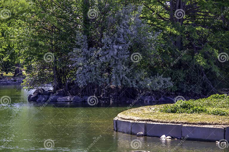 River Split stock photo. Image of grass, lake, stream - 152179146