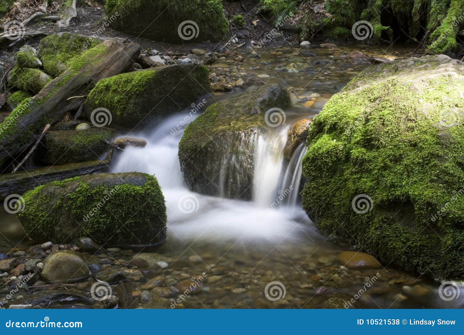 River in spring stock photo. Image of outdoors, outdoor - 10521538