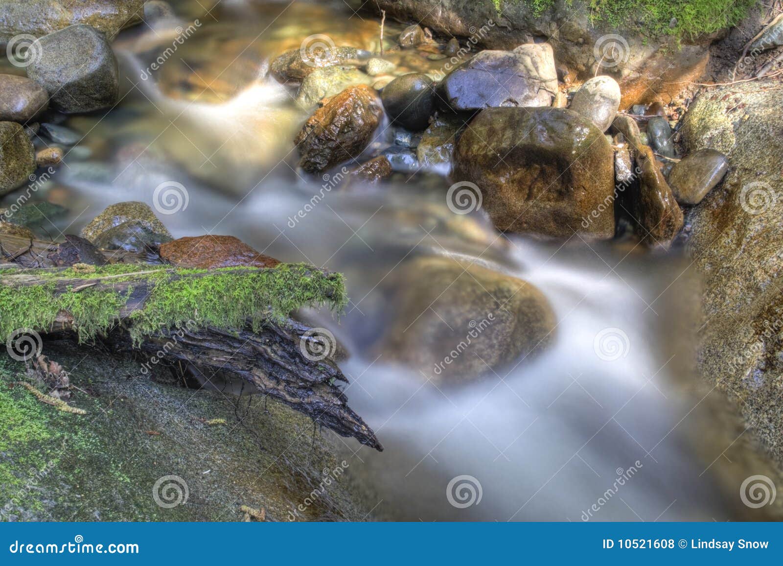 River in spring stock photo. Image of fresh, falling - 10521608