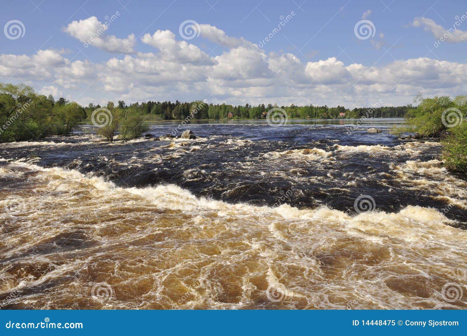 River in spring stock image. Image of river, beauty, season - 14448475