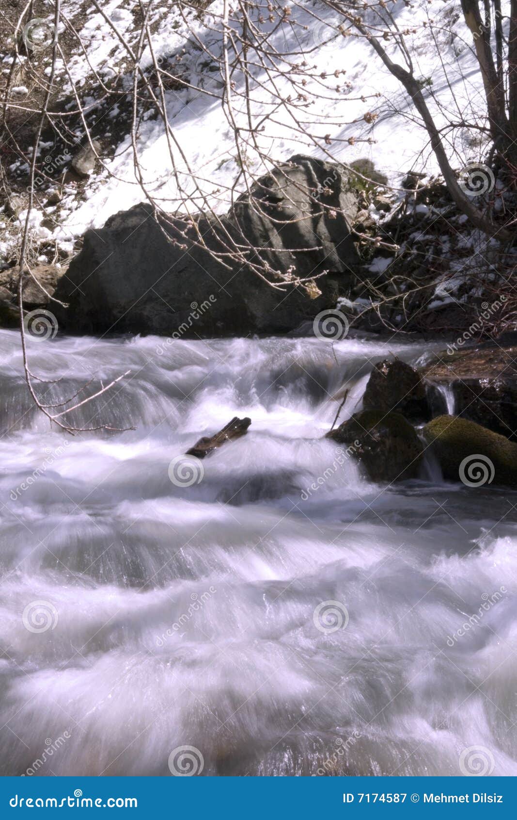 River during Spring stock image. Image of mist, forest - 7174587