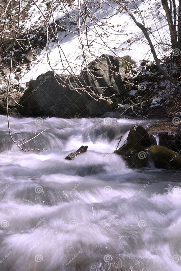 River during Spring stock image. Image of mist, forest - 7174587