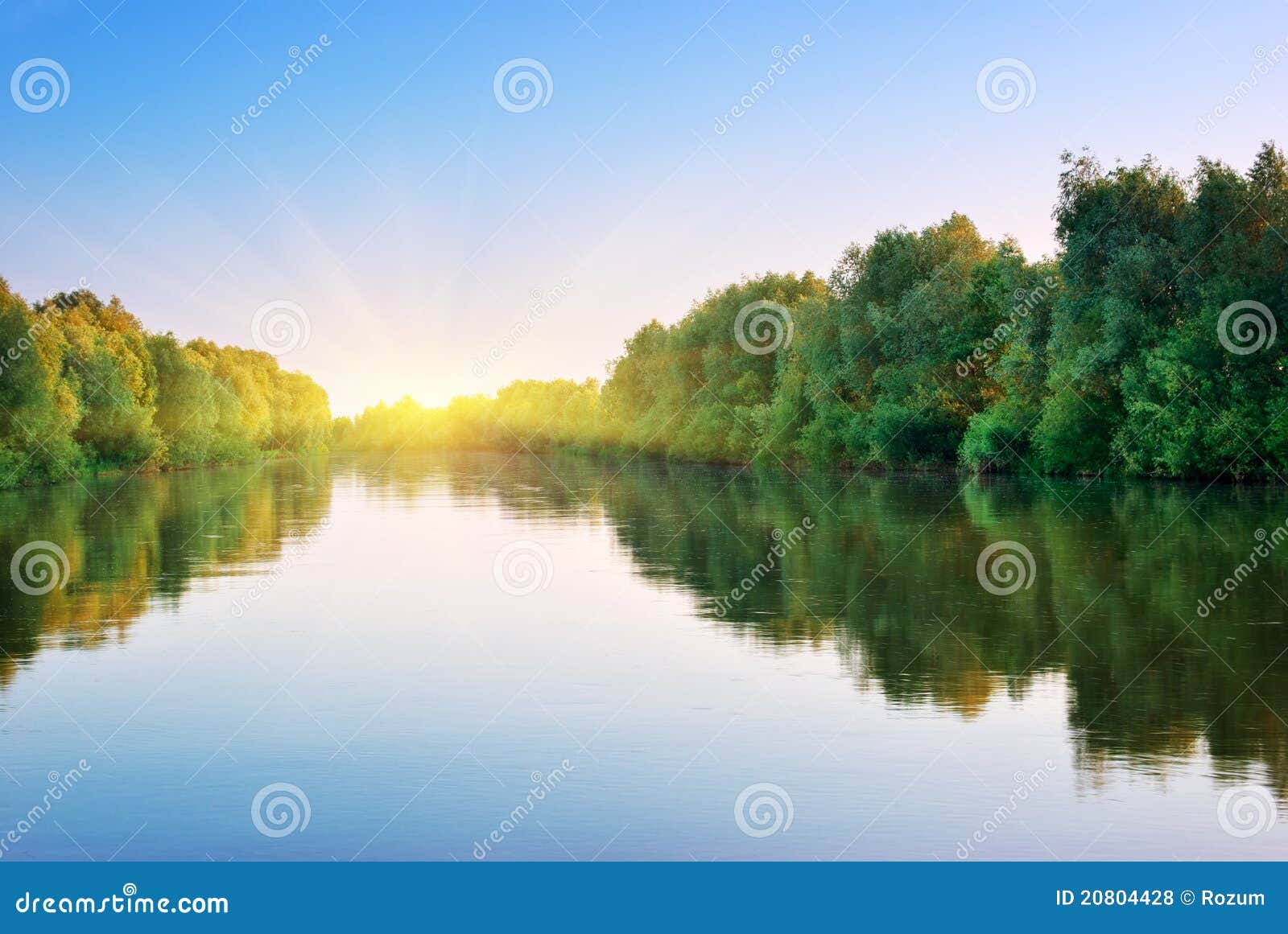 River and spring forest. stock photo. Image of peace - 20804428