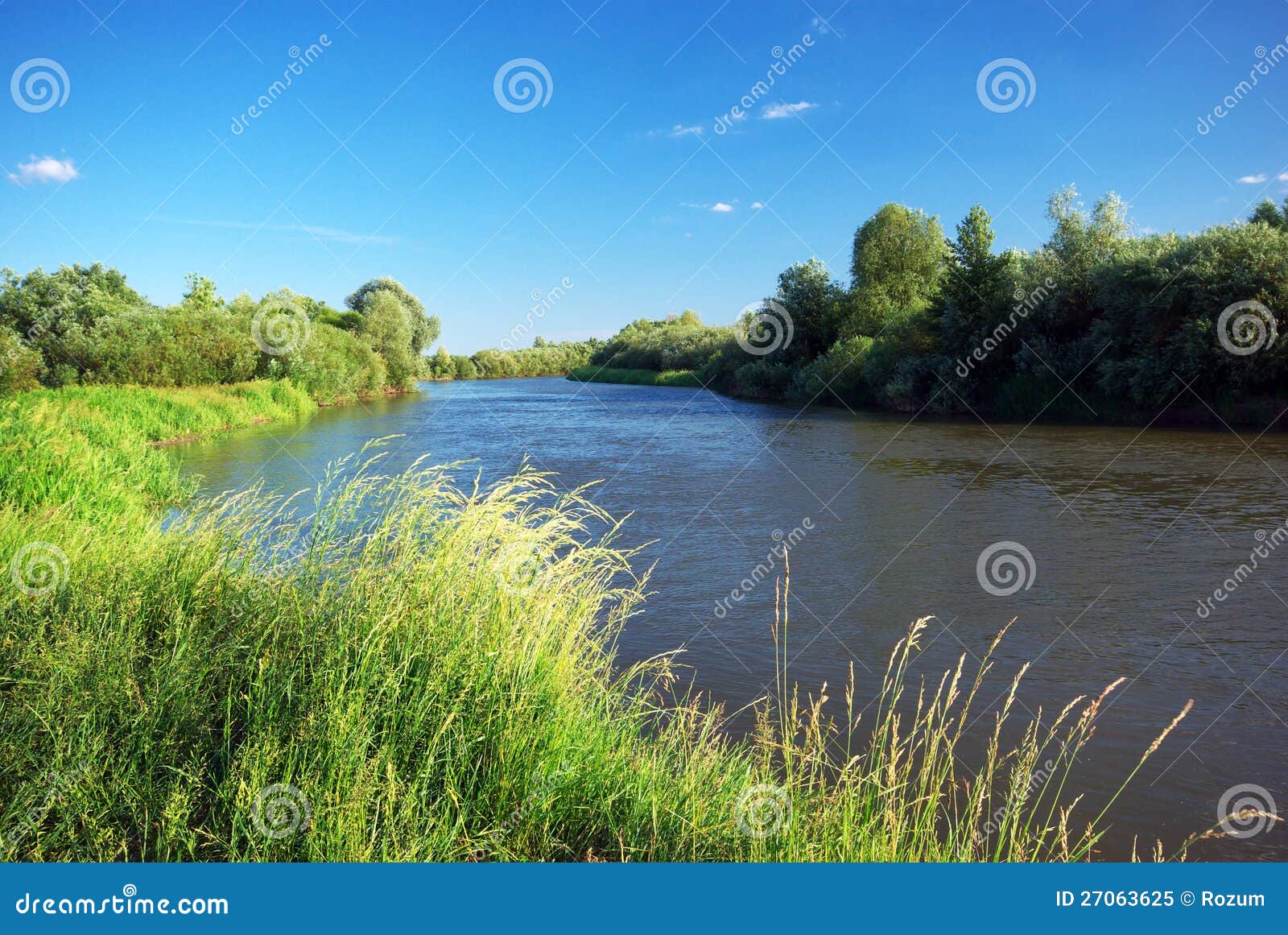 River and spring forest stock image. Image of river, peaceful - 27063625