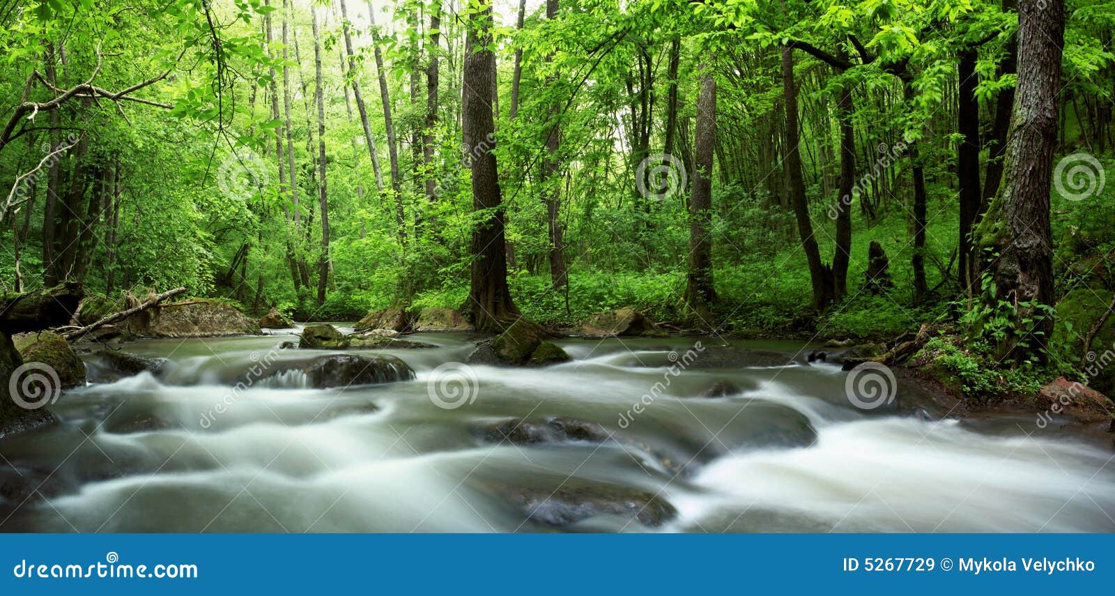 River in spring forest stock image. Image of outdoor, waterfall - 5267729