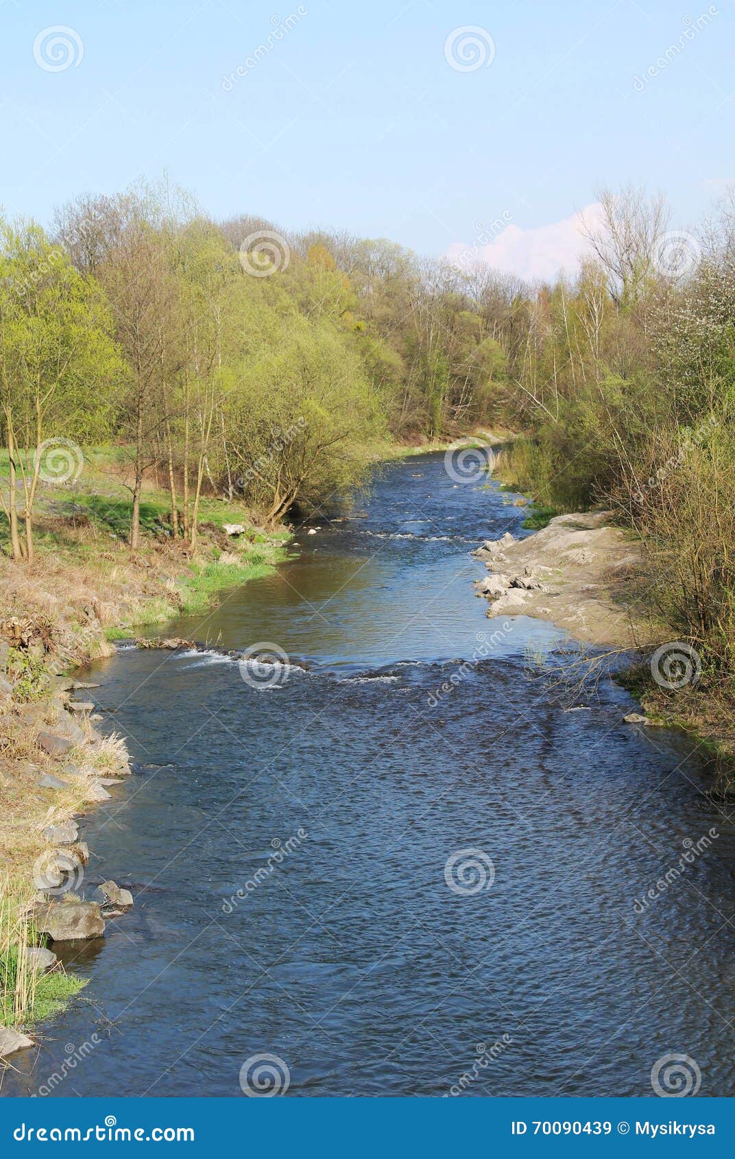 River in spring forest stock image. Image of forest, greenery - 70090439
