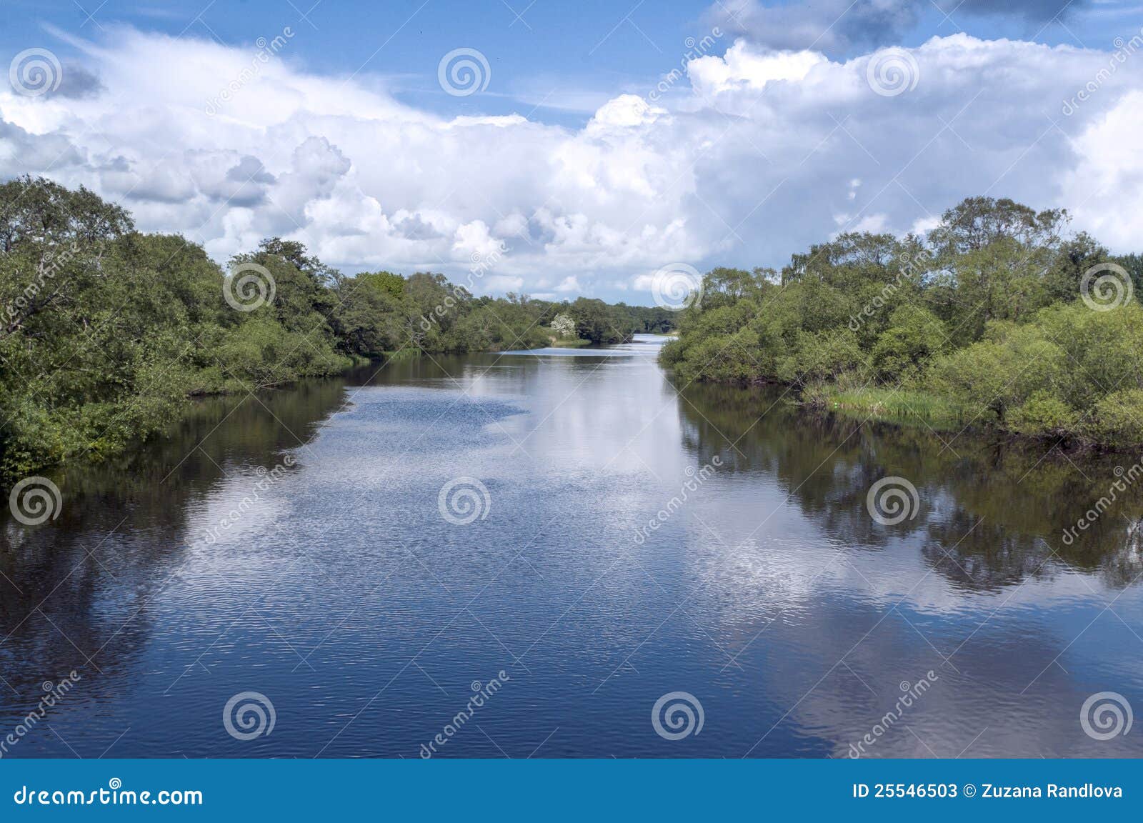 A River and Spring - Landscape Stock Image - Image of leaf, season ...