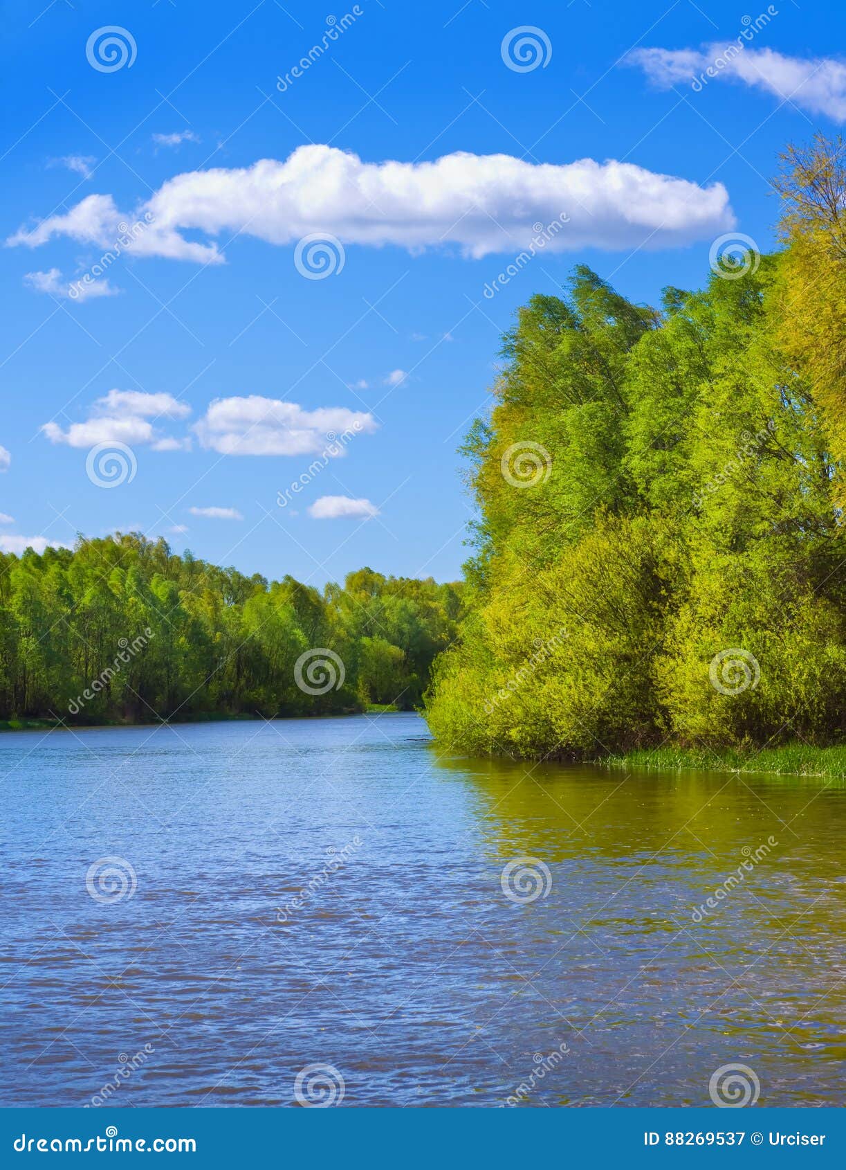 River in Spring stock image. Image of river, cloud, flood - 88269537