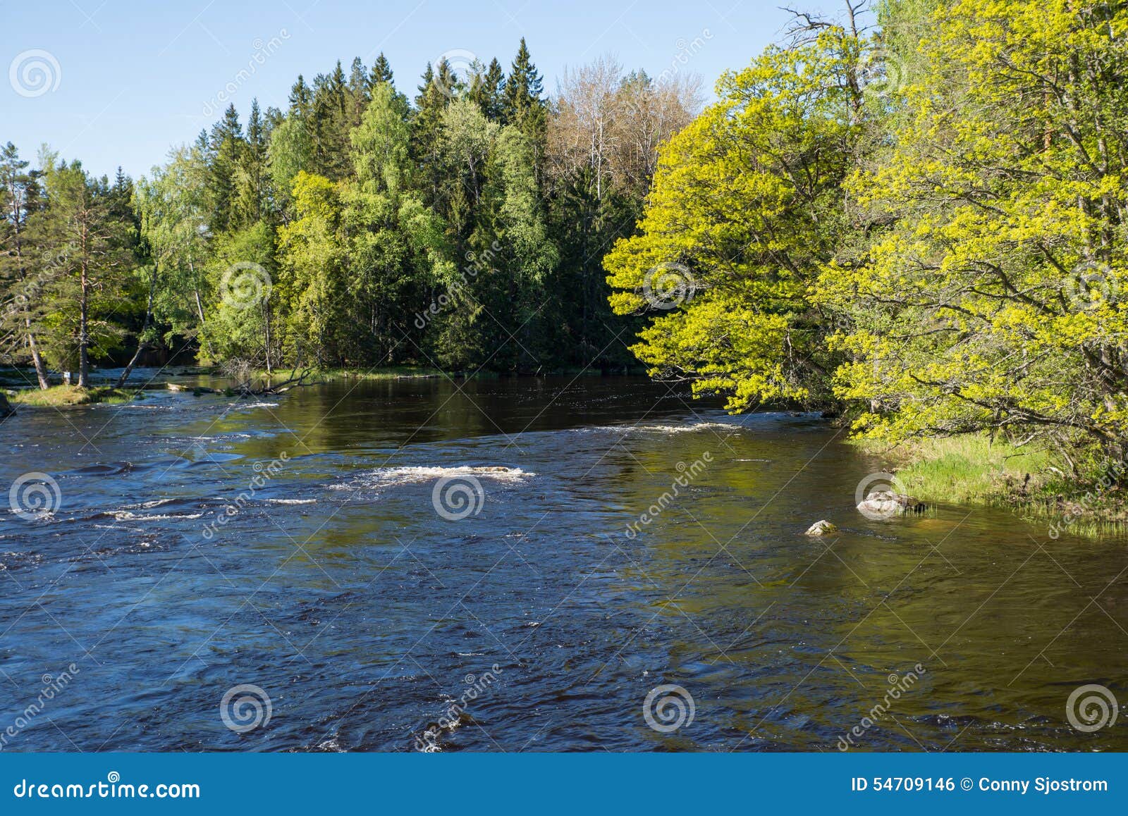 River in spring stock photo. Image of color, riverbank - 54709146