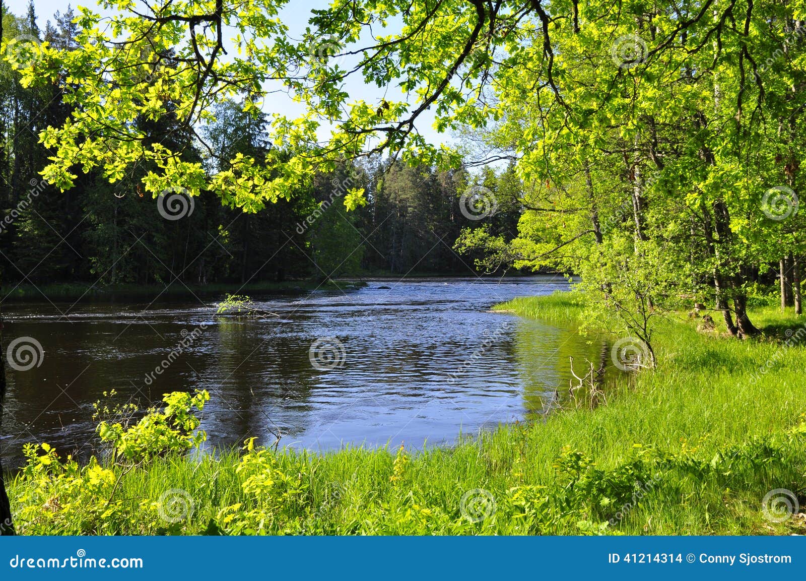 River in spring stock photo. Image of spring, river, season - 41214314
