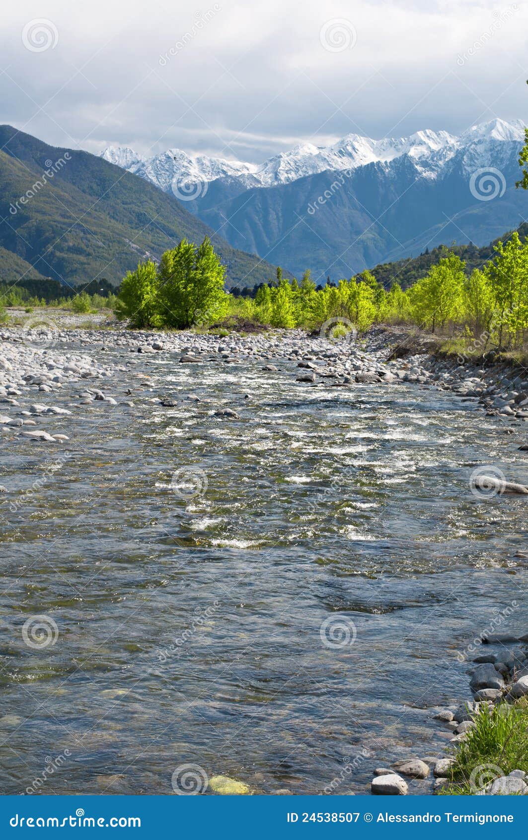 River in spring season stock image. Image of environment - 24538507