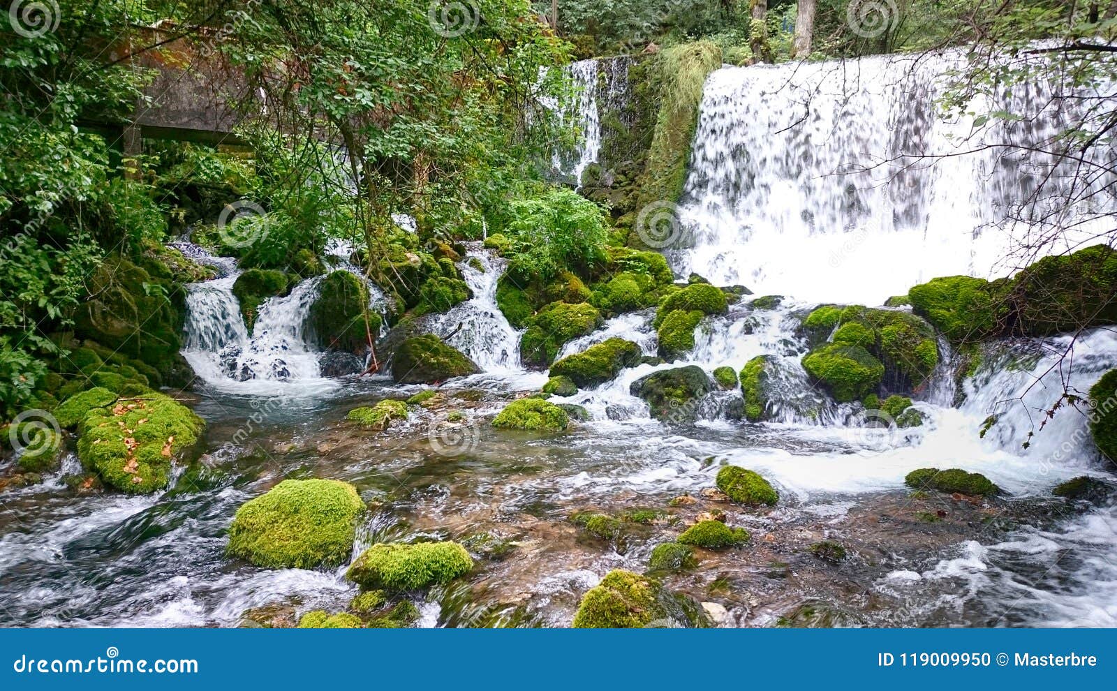 River spring stock photo. Image of waterfall, nature - 119009950