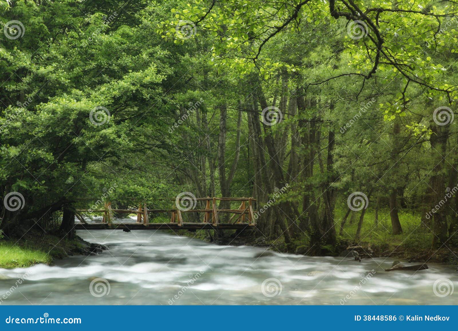 River in spring stock photo. Image of clean, river, harmony - 38448586