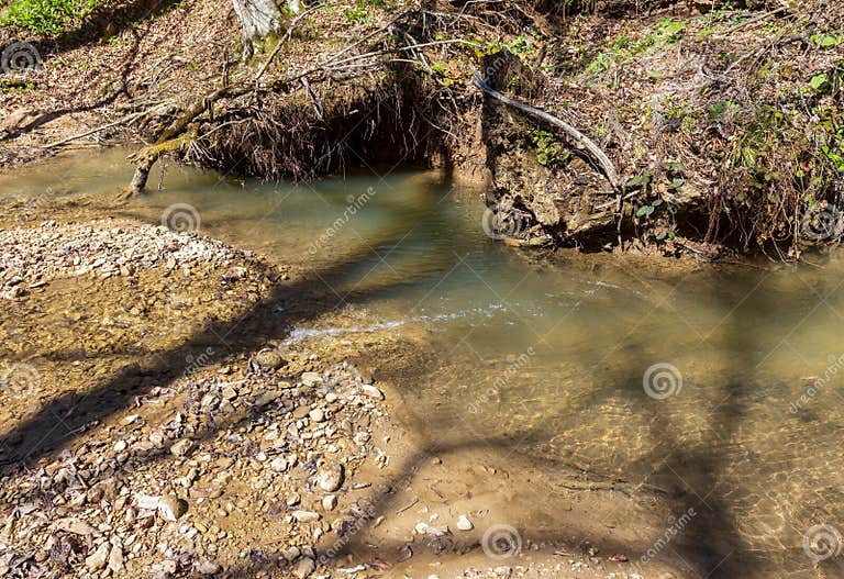 The River in the Spring of the Year, a Slow Flow Along a Shallow ...