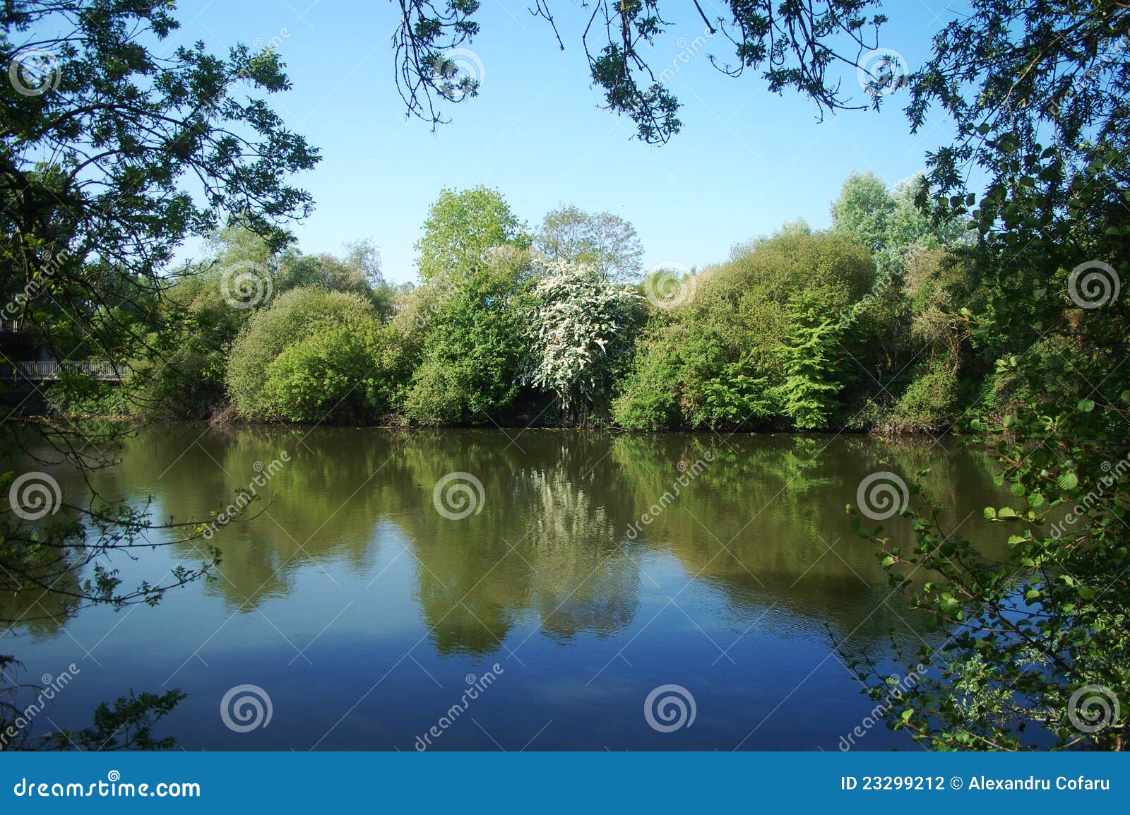 River in springtime stock photo. Image of branches, nature - 23299212