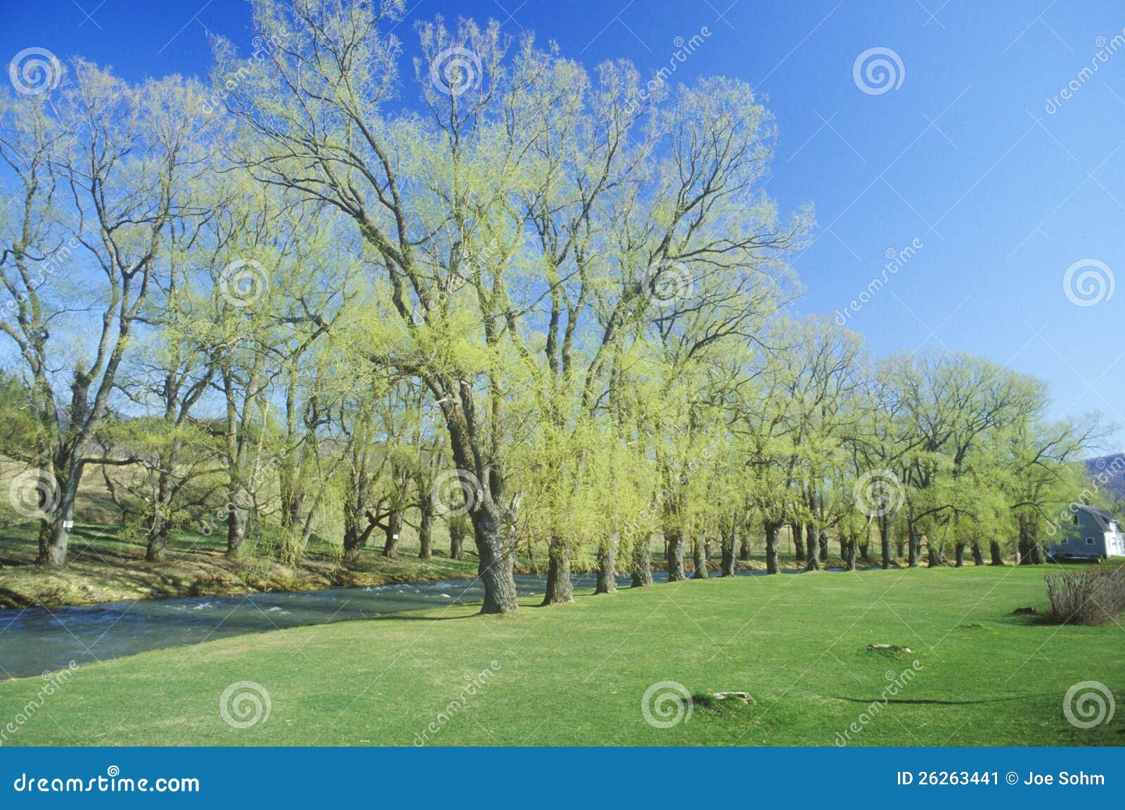 River in Springtime stock image. Image of season, springtime - 26263441