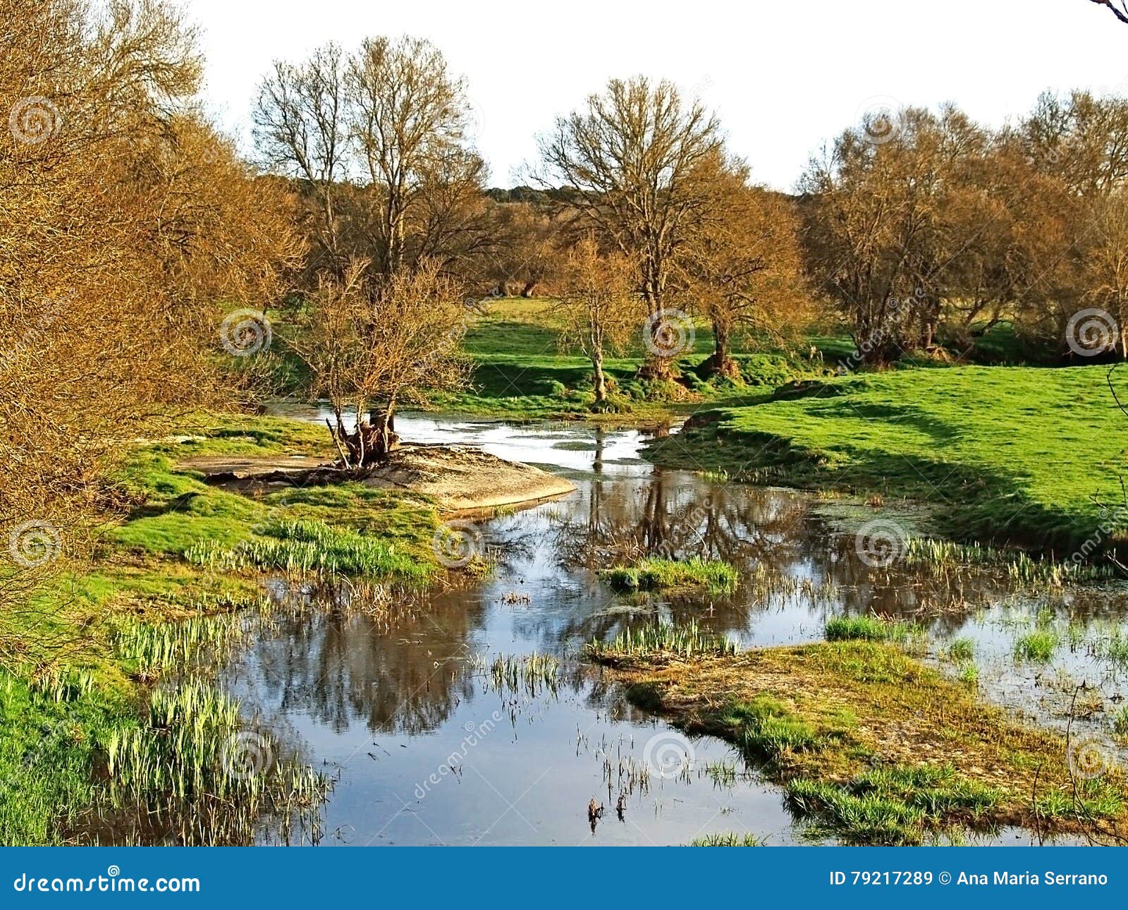 River on springtime stock image. Image of water, environment - 79217289