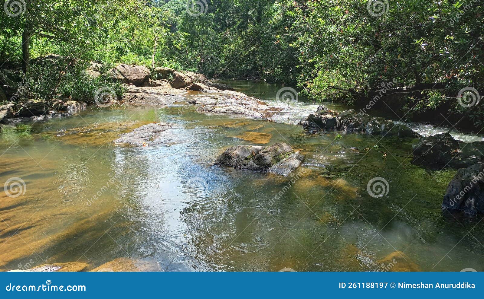 River stock image. Image of river, nature, village, lanka - 261188197