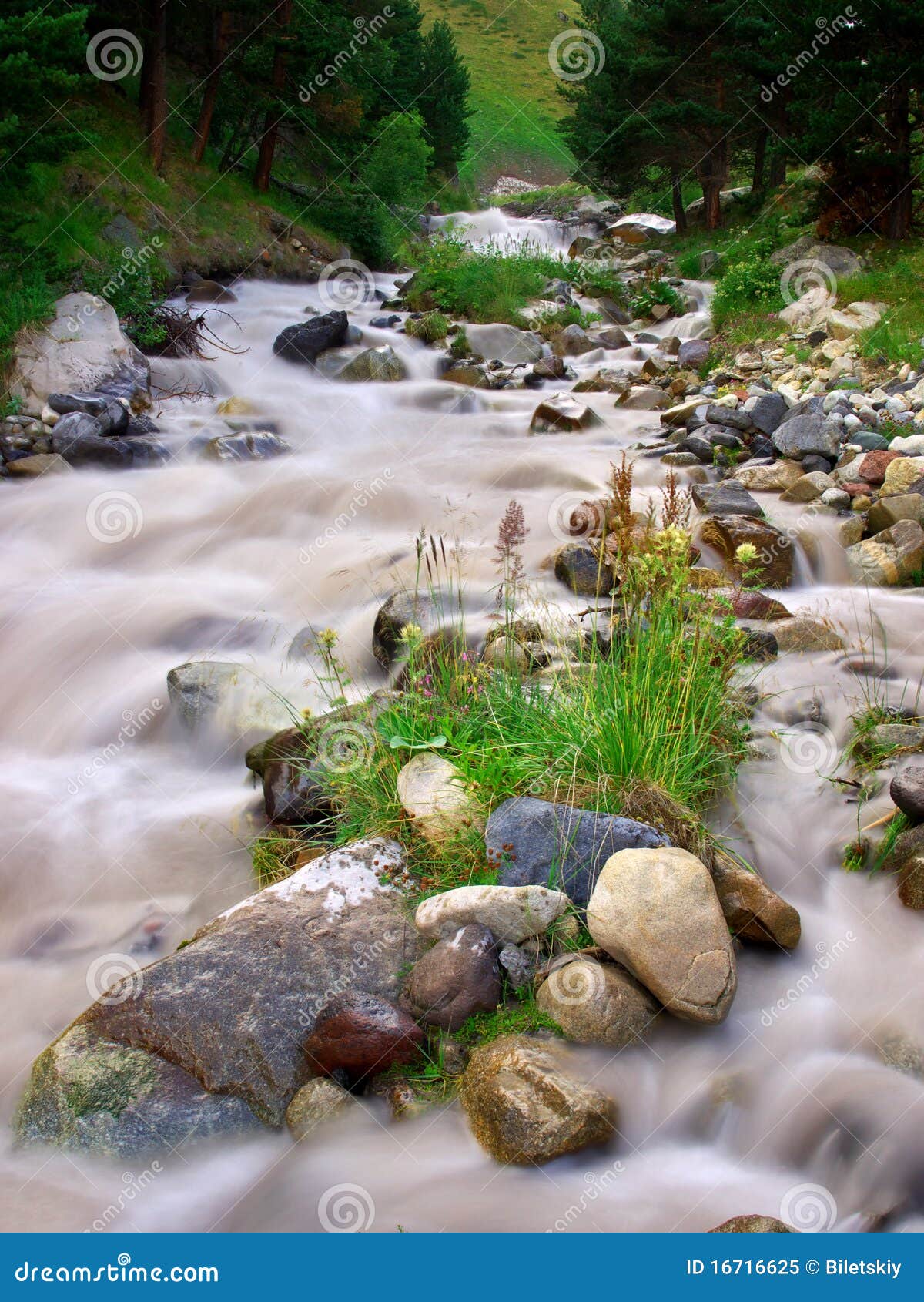 River with stone stock image. Image of scene, flowerses - 16716625