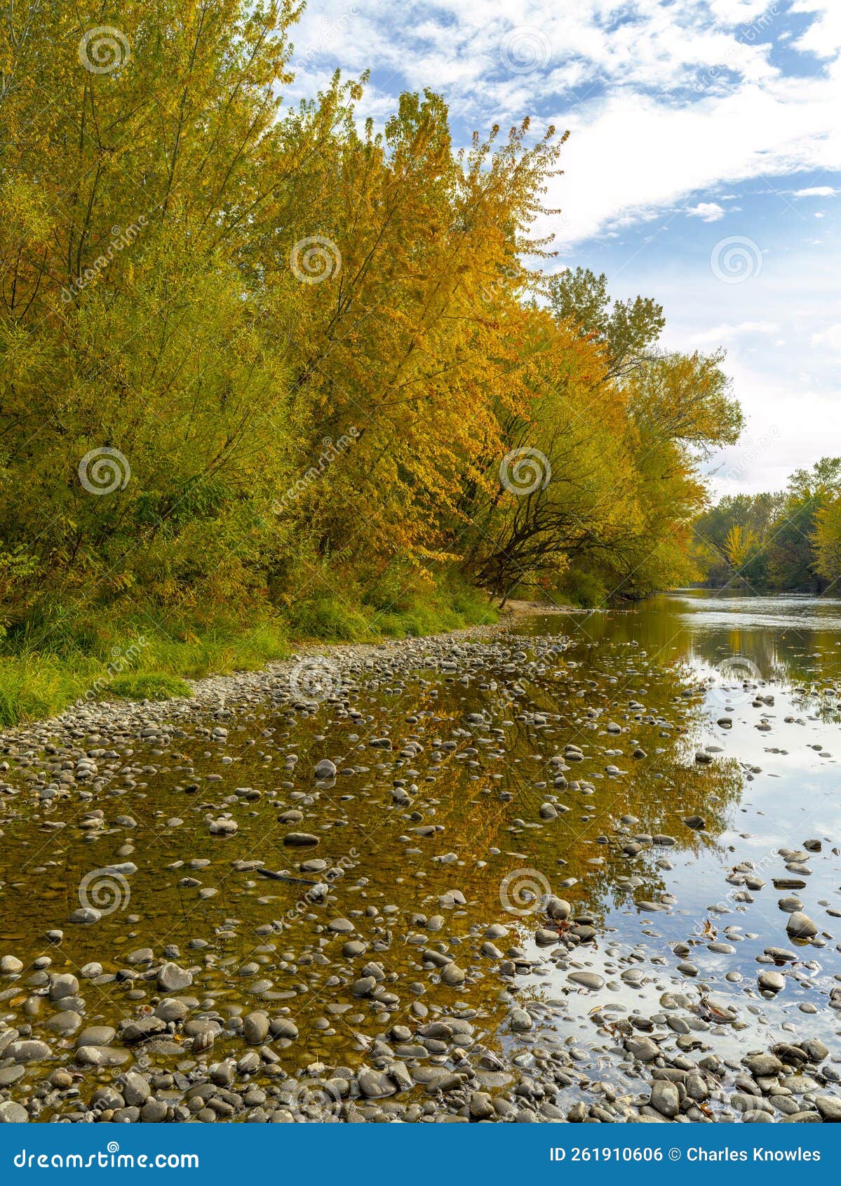 River Stone Along the Shore of the Boise River in Fall Stock Photo ...
