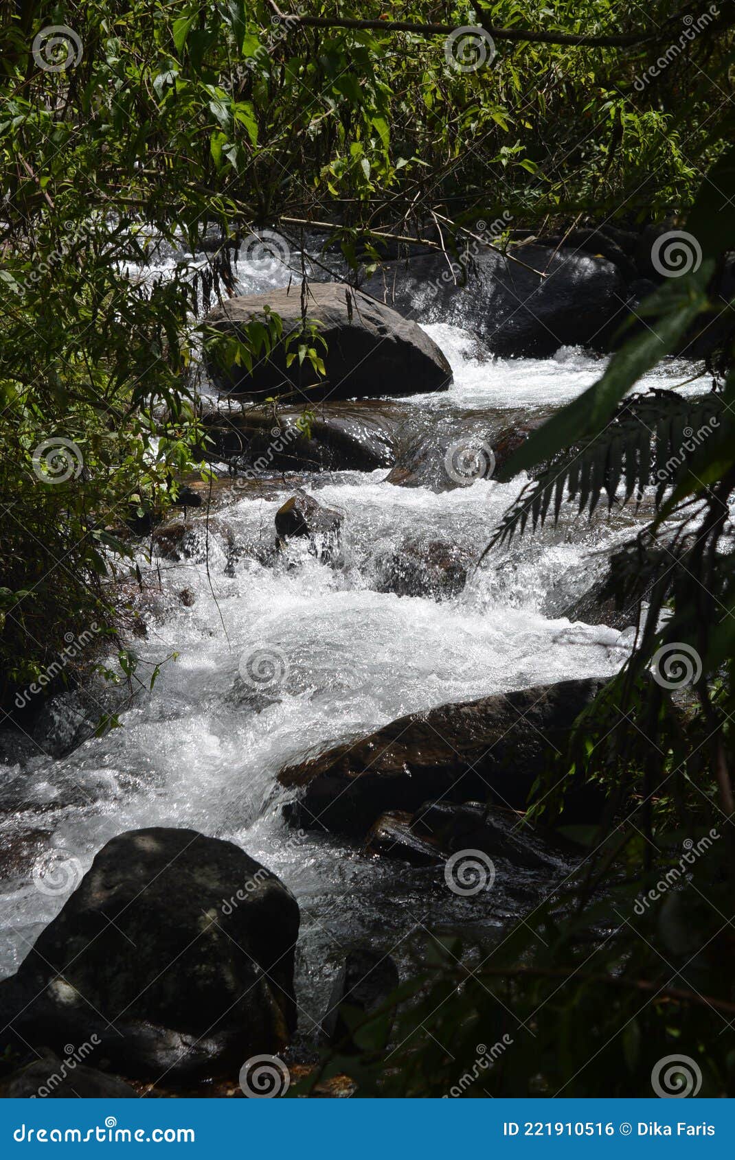 River Stone Forest Tropical Puntang Stock Photo - Image of stone, river ...