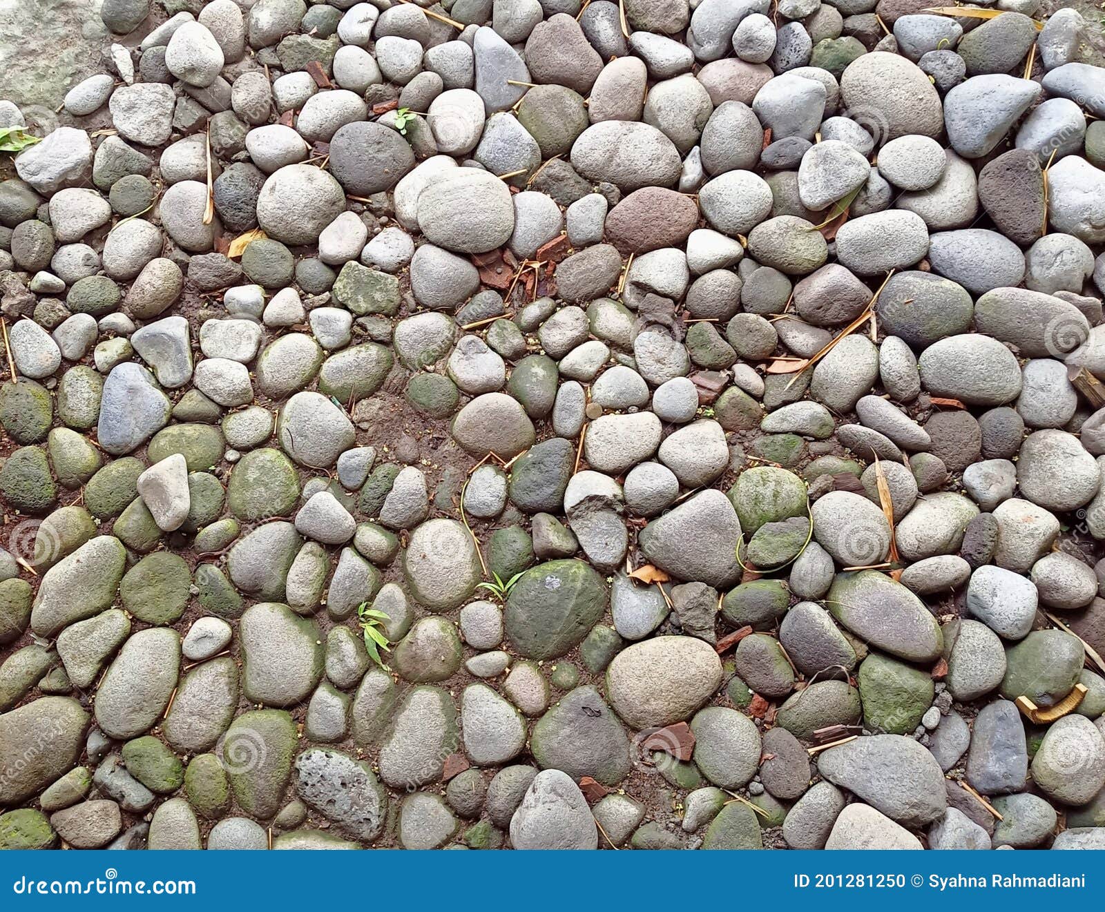 RIVER STONE TEXTURE stock photo. Image of nature, stone - 201281250