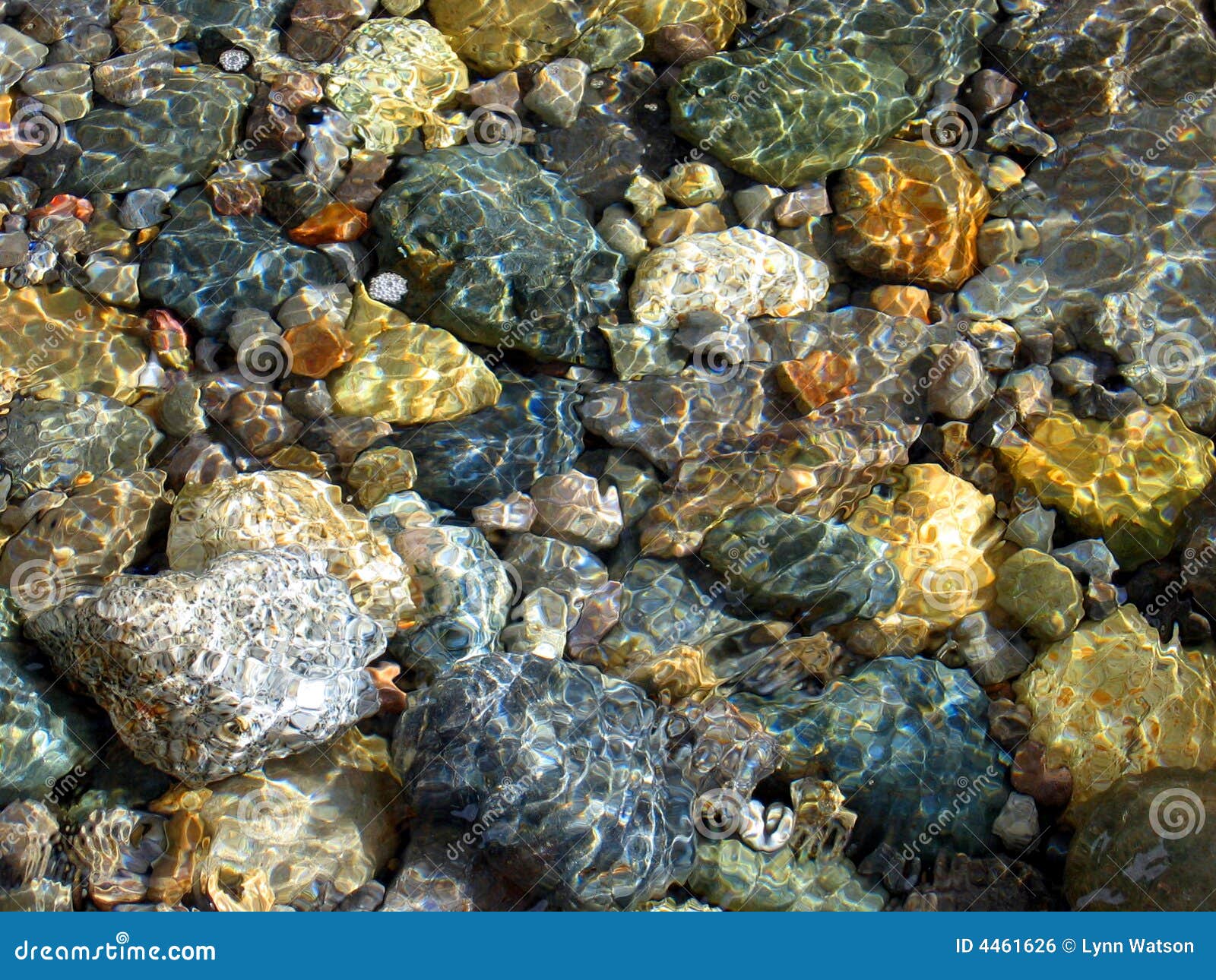 River Stones stock photo. Image of nature, background - 4461626