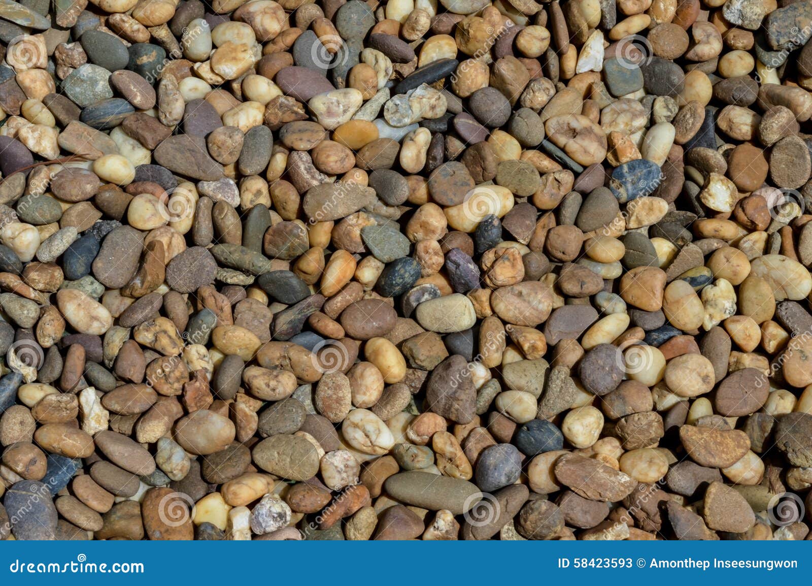 River Stones for Background Stock Image - Image of small, closeup: 58423593