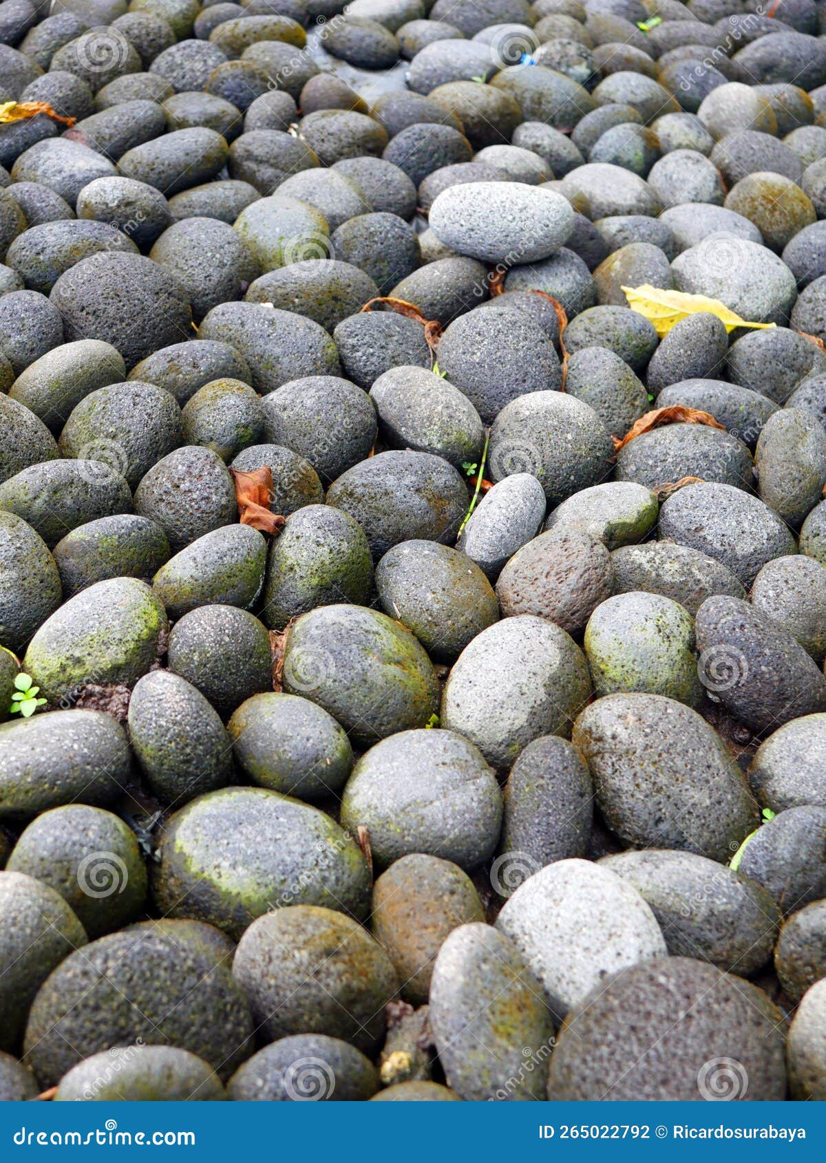 River Stones in Different Shades of Gray Stock Photo - Image of pile ...
