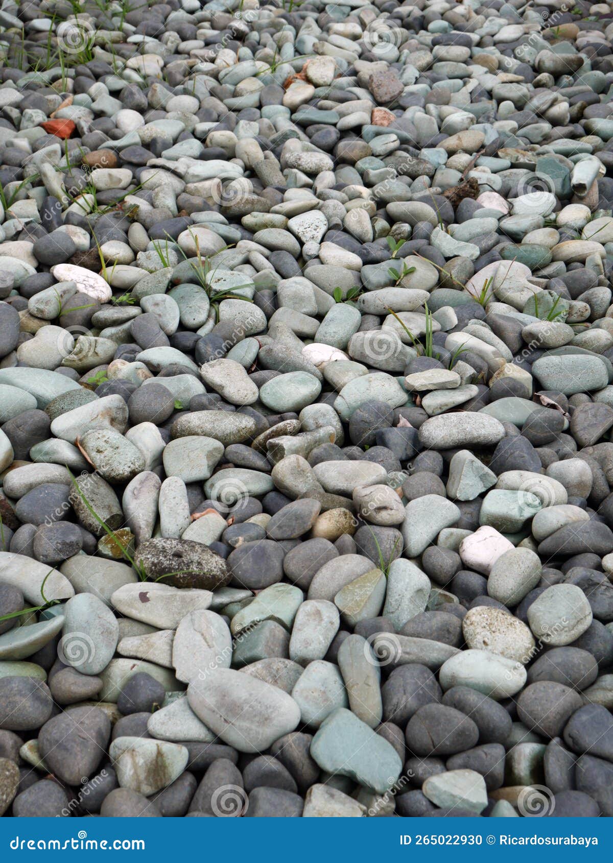River Stones in Different Shades of Gray Stock Photo - Image of closeup ...