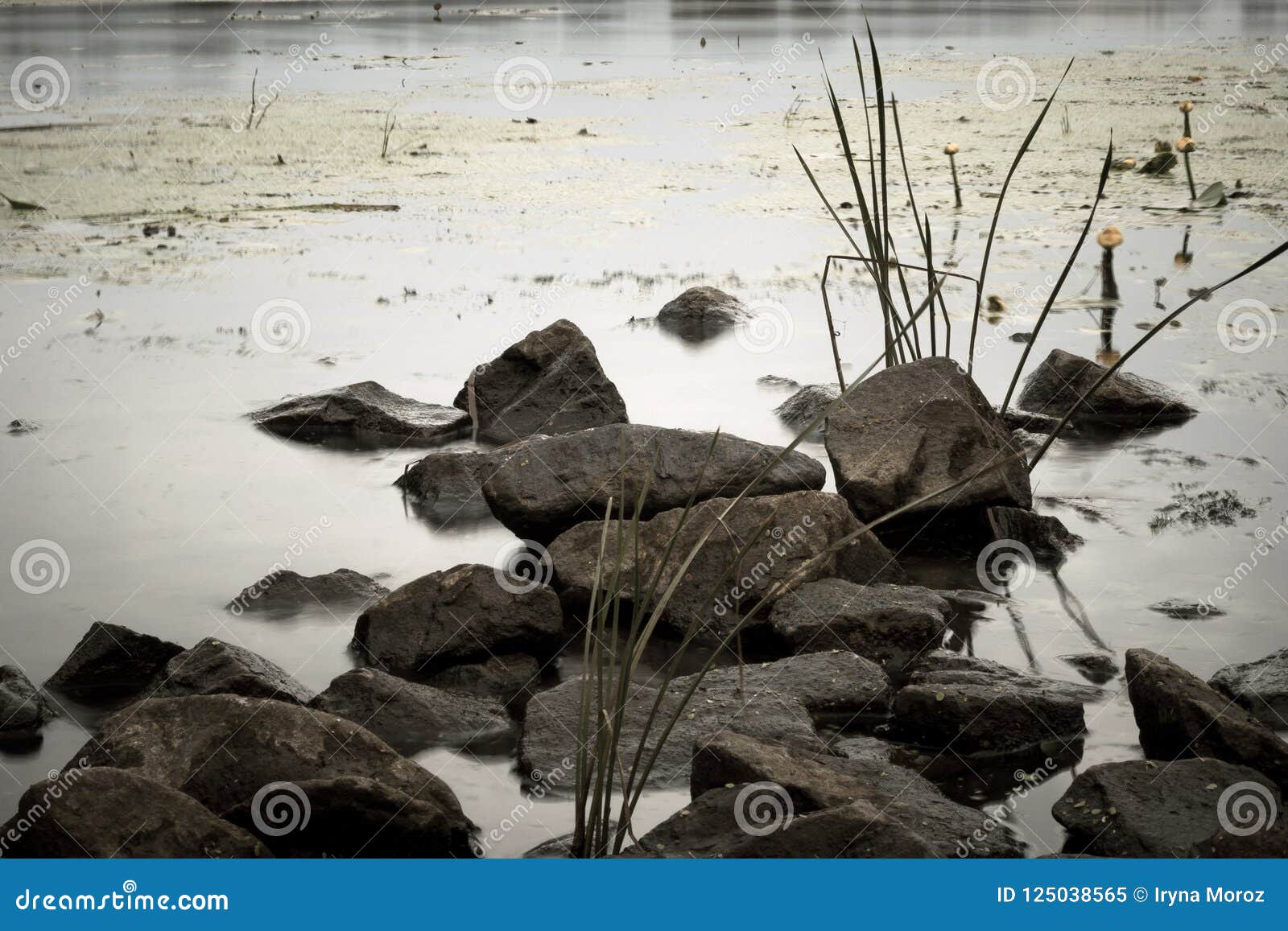 River Stones River with Glare of the Sun River Rocks Stock Image ...