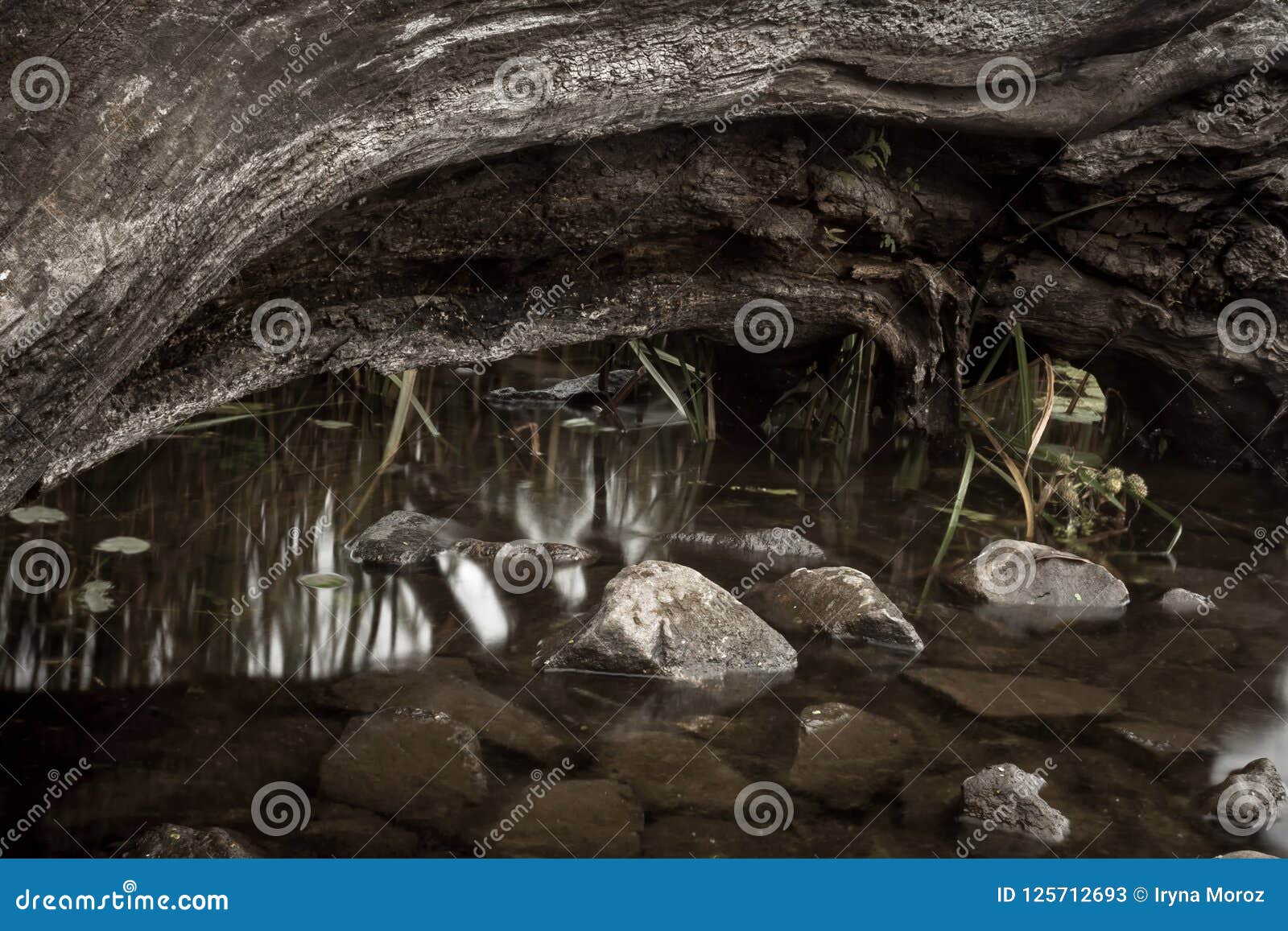 River Stones River with Glare of the Sun River Rocks Stock Image ...