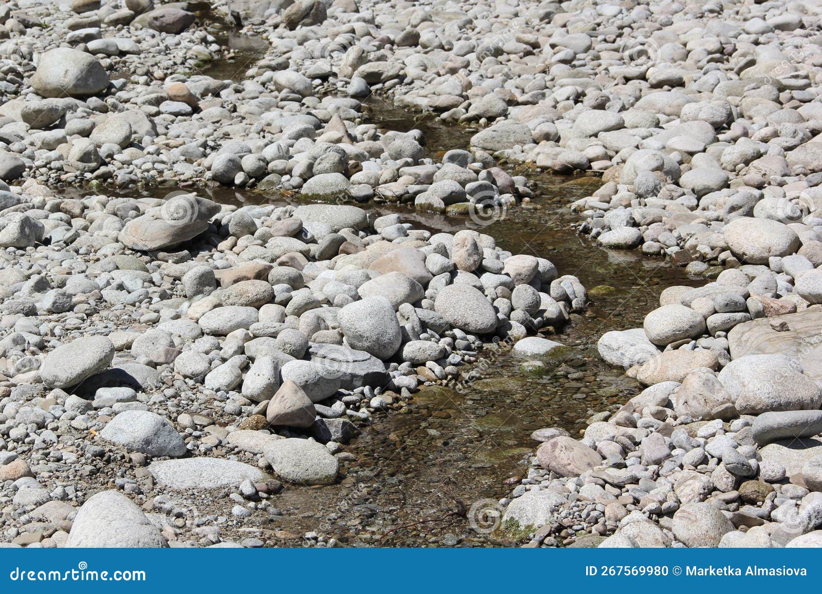 River and Stones in the Nature Stock Photo - Image of river, wildlife ...