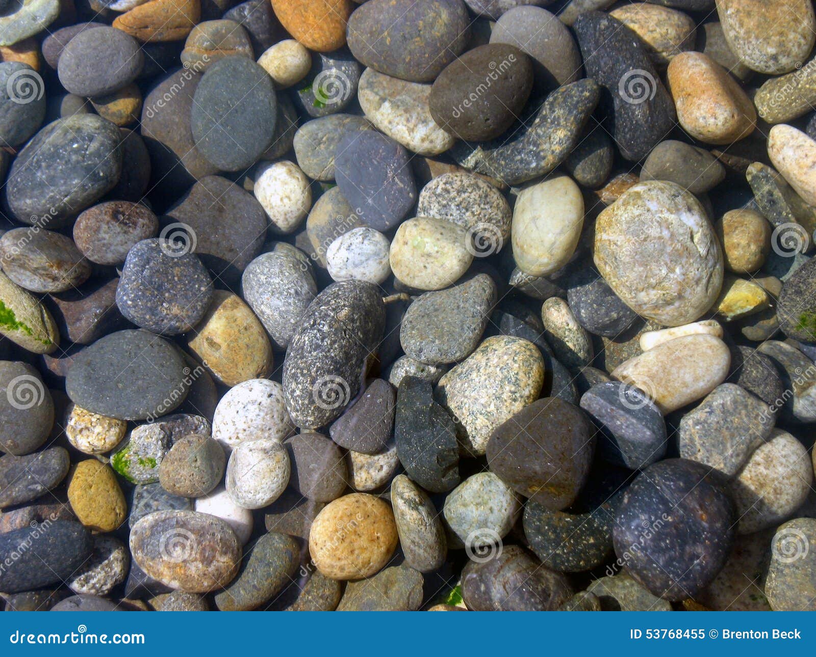 River stones stock image. Image of river, stones, creek - 53768455