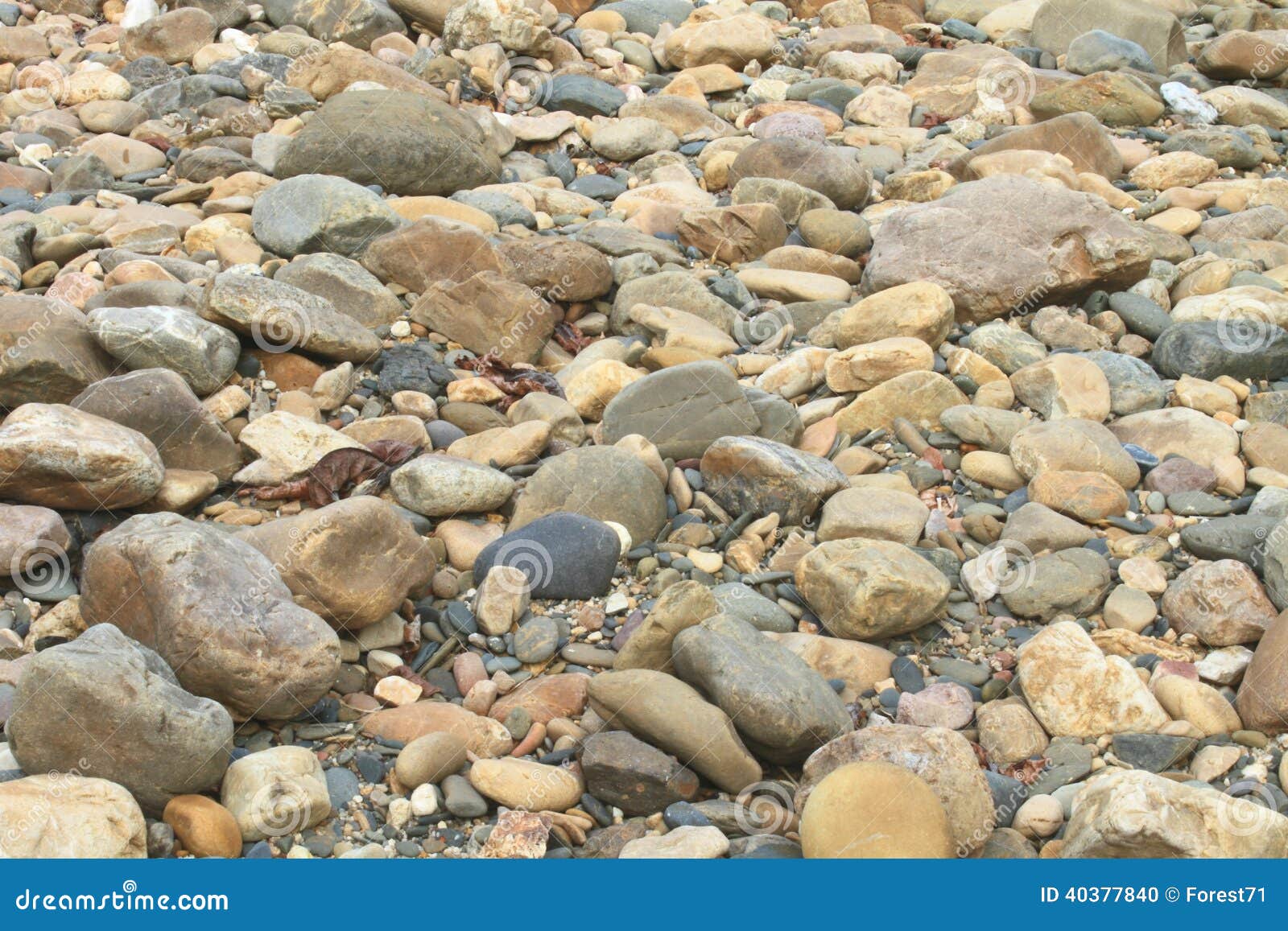 River Stones Submerged in Shallow Water Stock Photo - Image of gravel ...