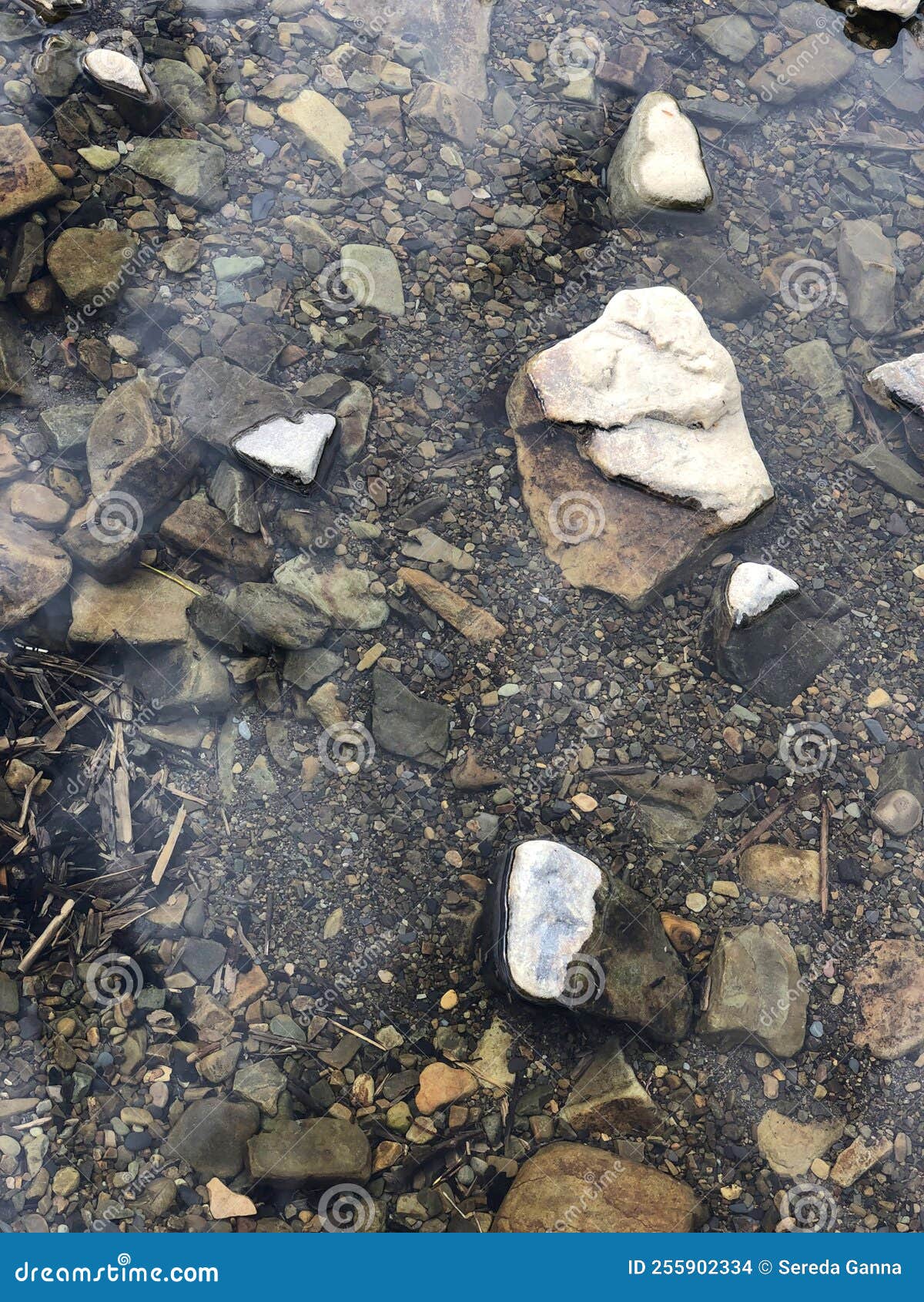 River with Stones Top View 1 Stock Photo - Image of stone, water: 255902334