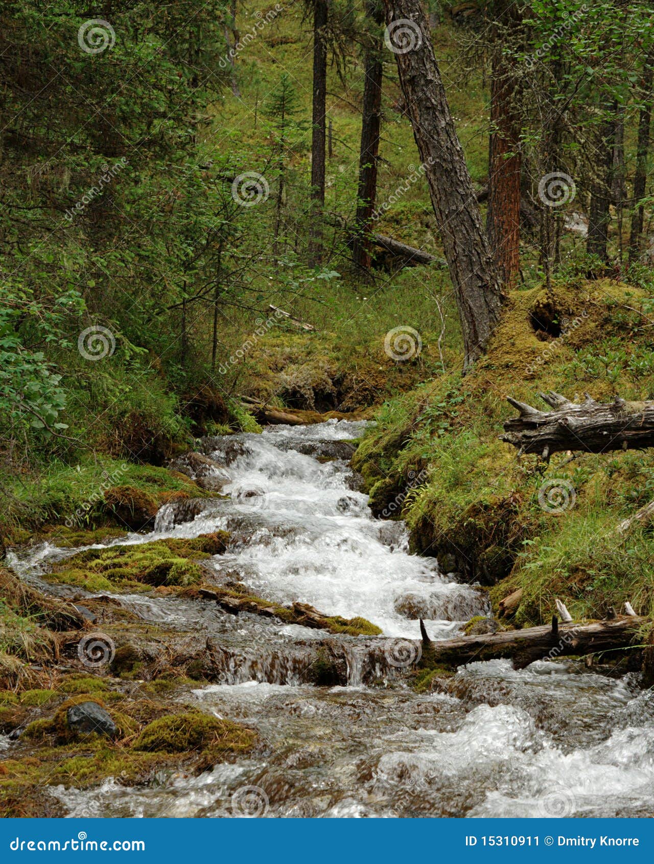 River stream stock image. Image of moss, season, freshness - 15310911
