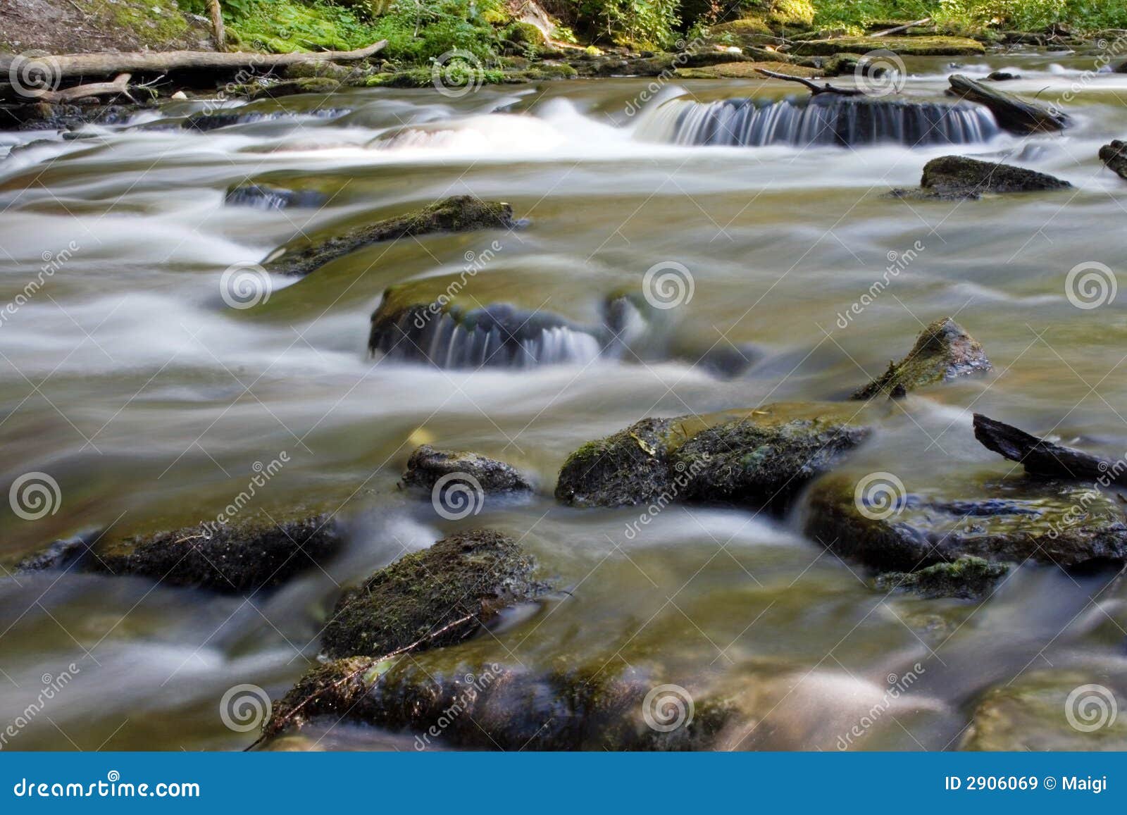 River stream stock image. Image of stream, shore, streaming - 2906069