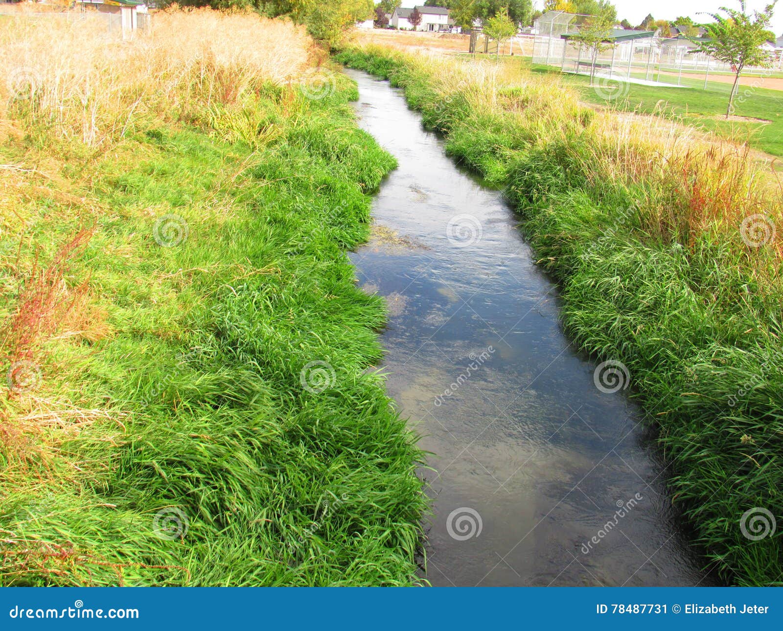 Stream through field stock image. Image of grassland - 78487731