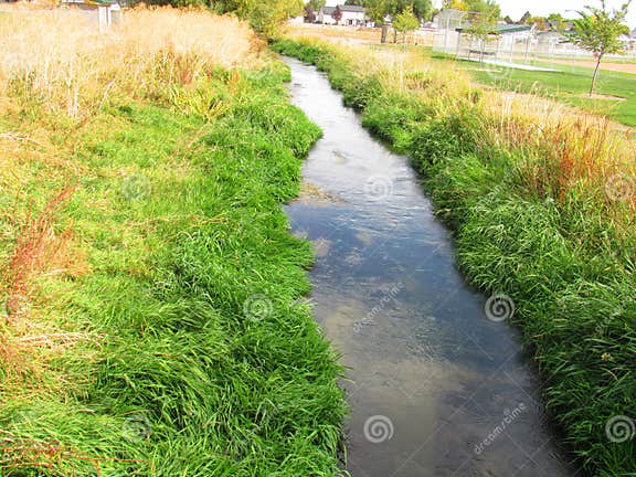Stream through field stock image. Image of grassland - 78487731