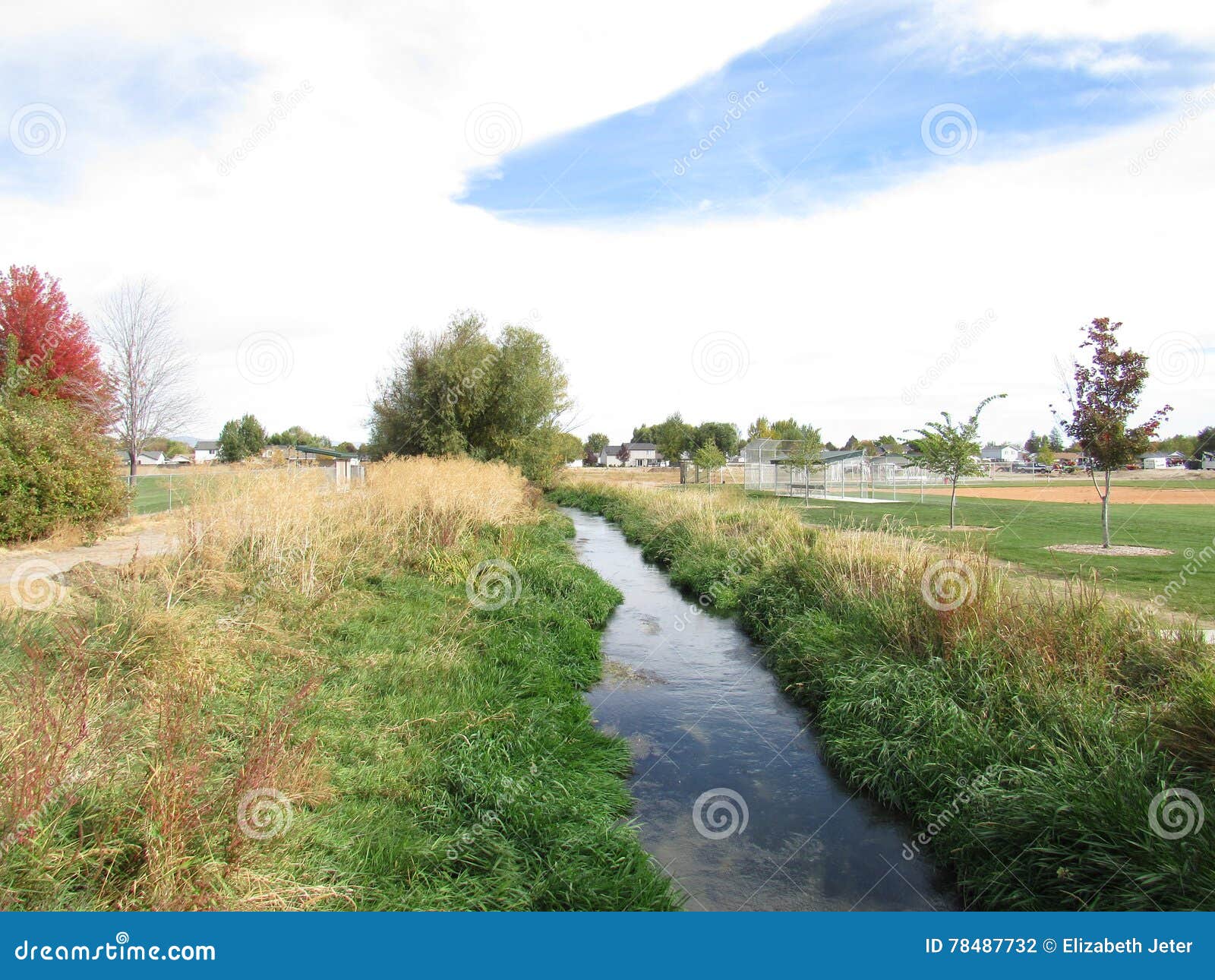 Stream through Grassy Field Stock Photo - Image of stream, fields: 78487732