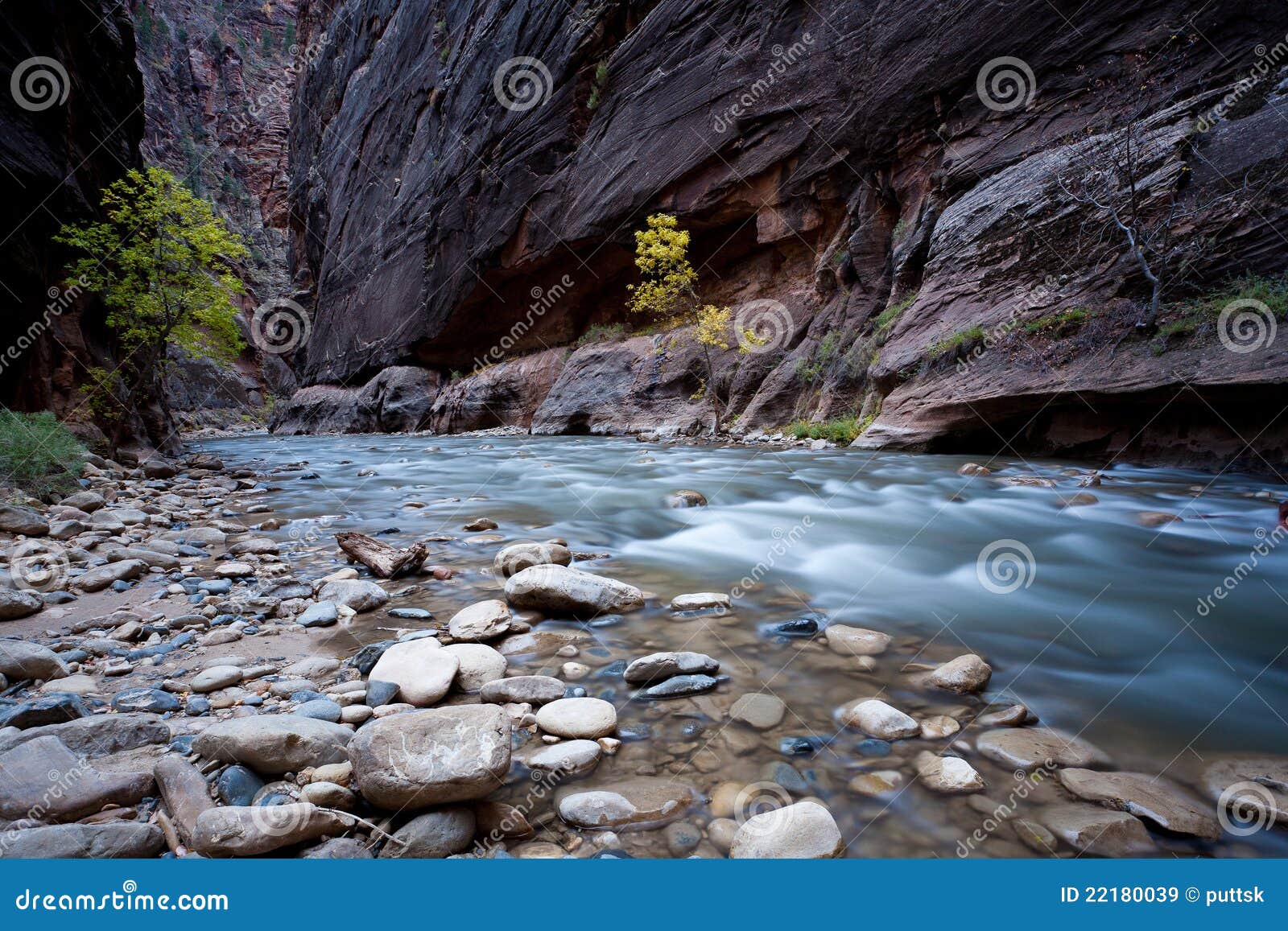 River stream in the canyon stock image. Image of park - 22180039