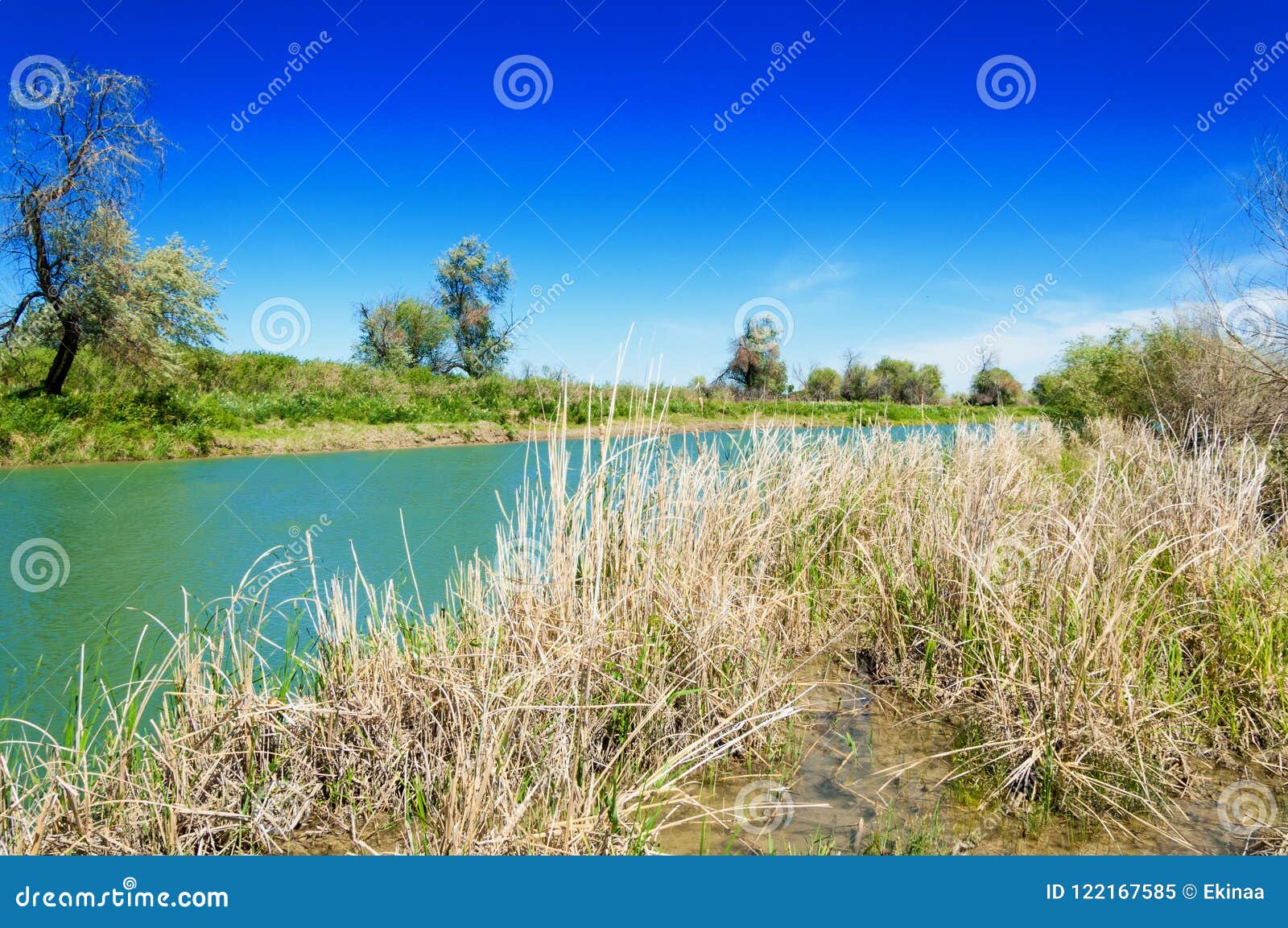 River, Stream, Flood, Effluent, Ford, Nulla Stock Image - Image of ...